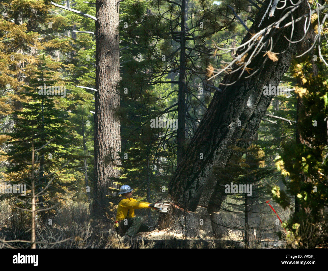Truckee fire hi-res stock photography and images - Alamy