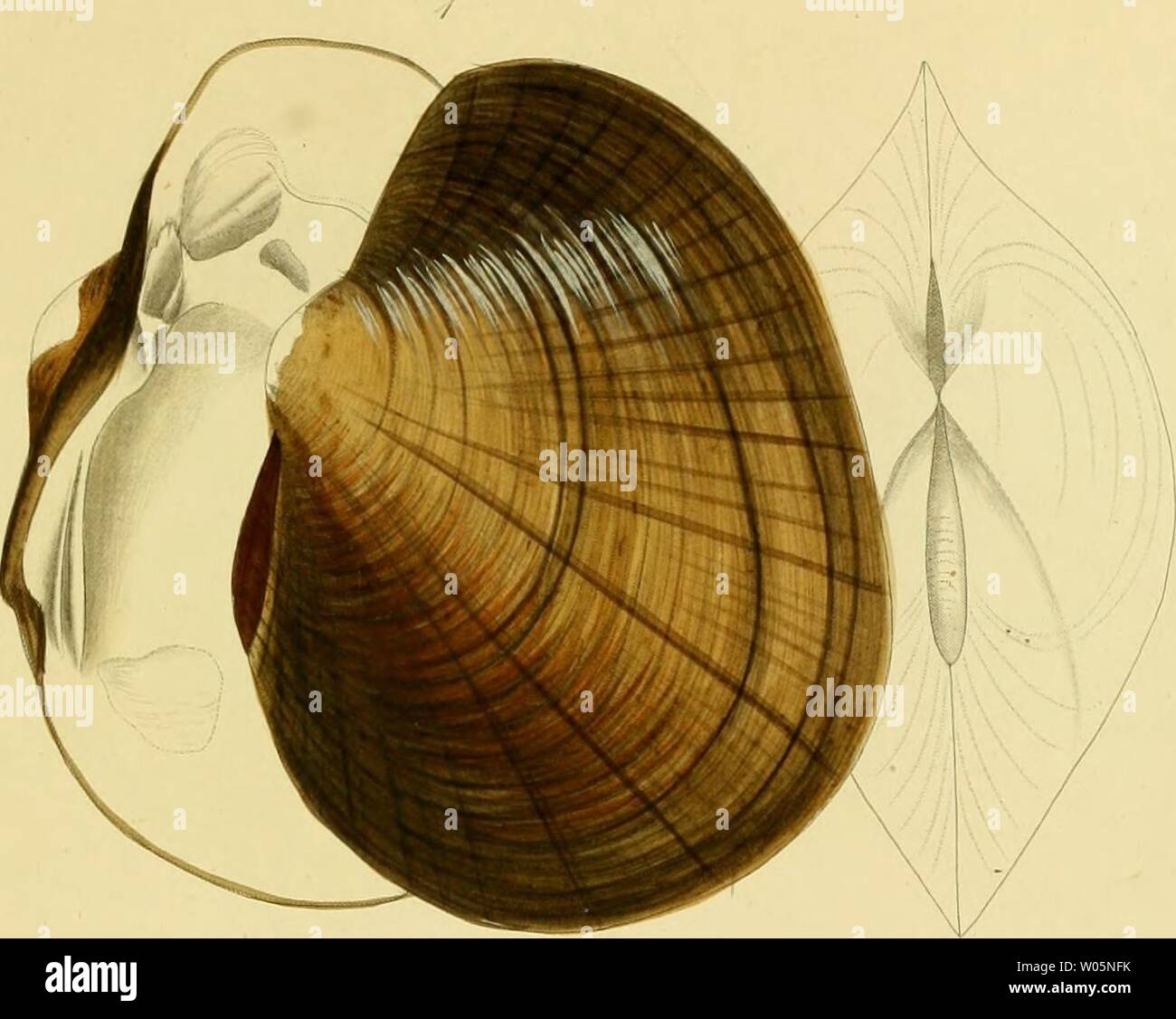 Die sss hi-res stock photography and images - Alamy