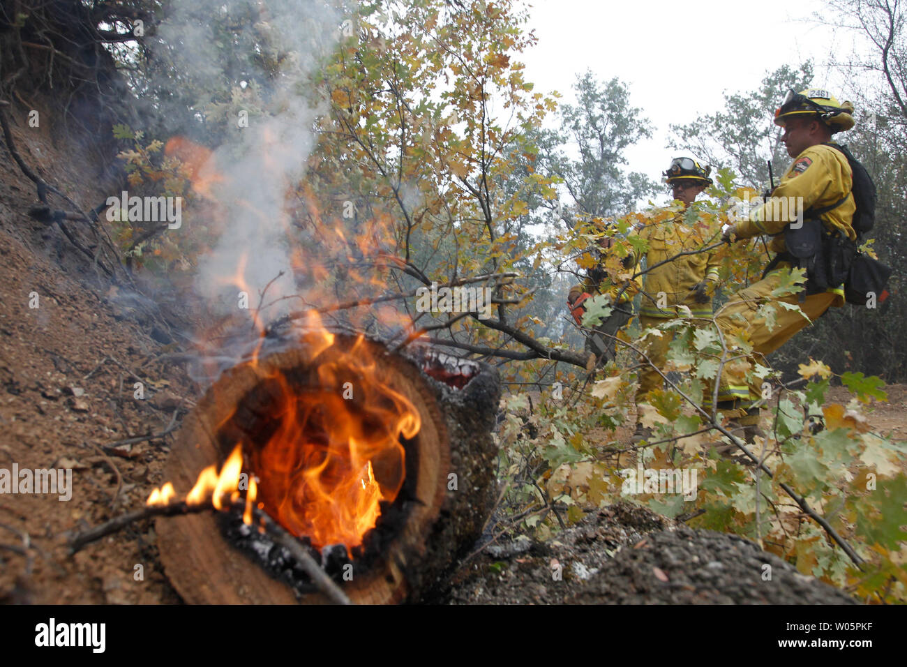 Mathew brush hi-res stock photography and images - Alamy