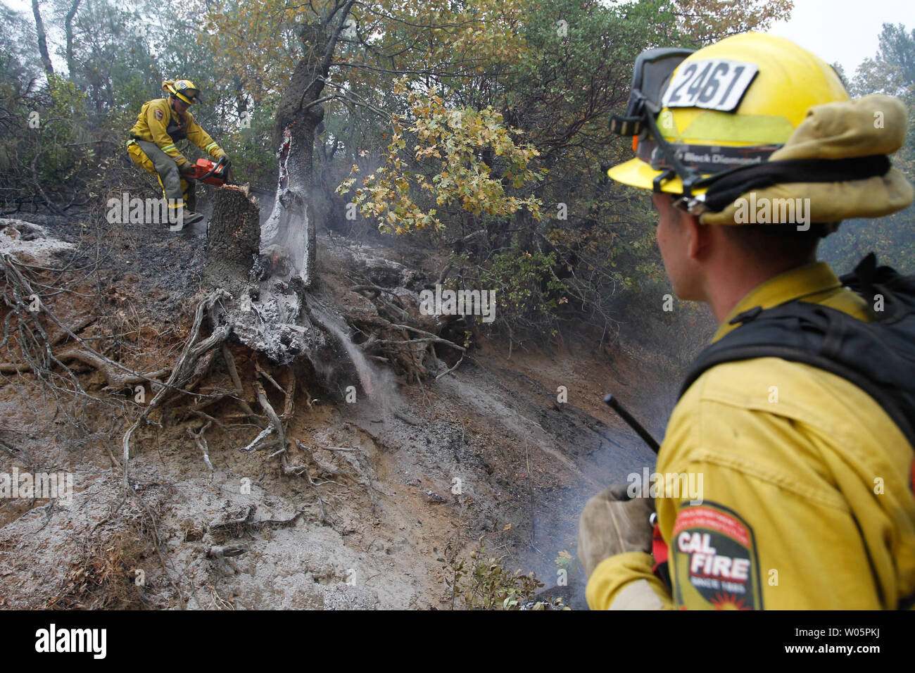 Fire fighters cut tree hi-res stock photography and images - Alamy