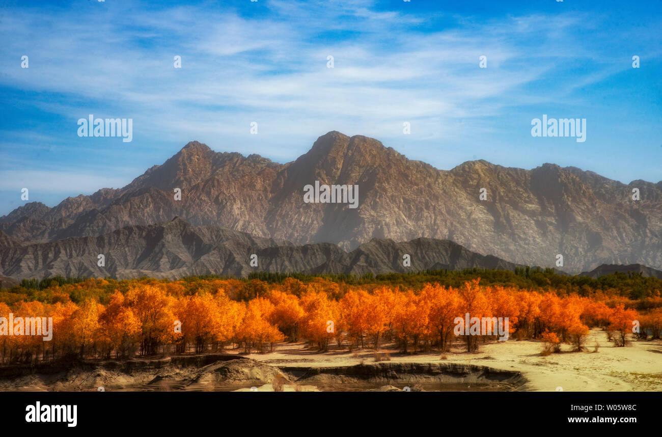 Lin your autumn hi-res stock photography and images - Alamy