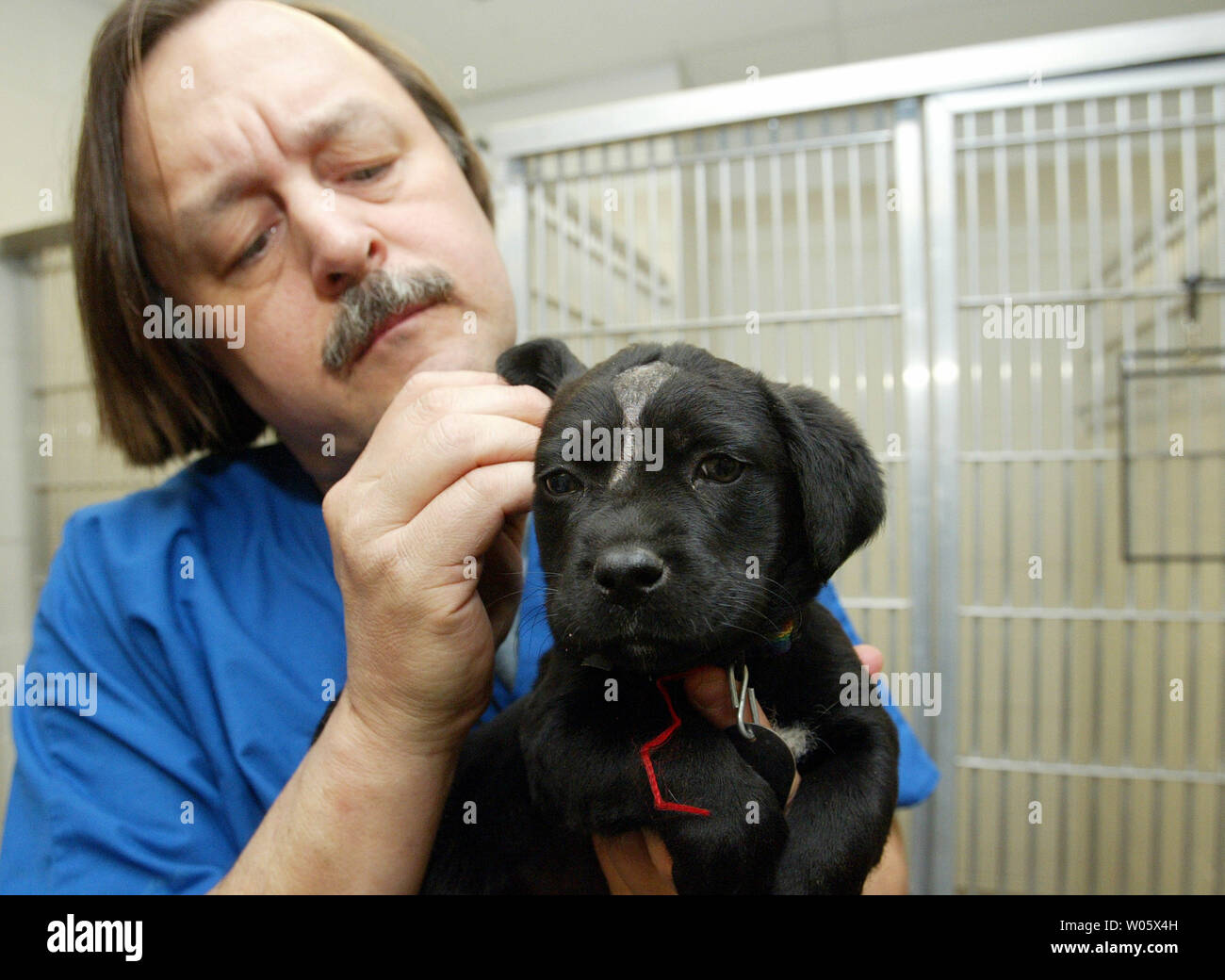 Louis sayers hi-res stock photography and images - Alamy