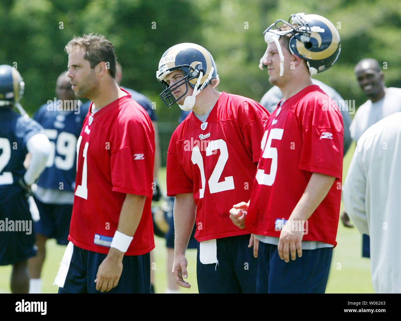 St. Louis Rams quarterbacks (L to R) Jamie Martin,. Ryan Fitzpatrick ...