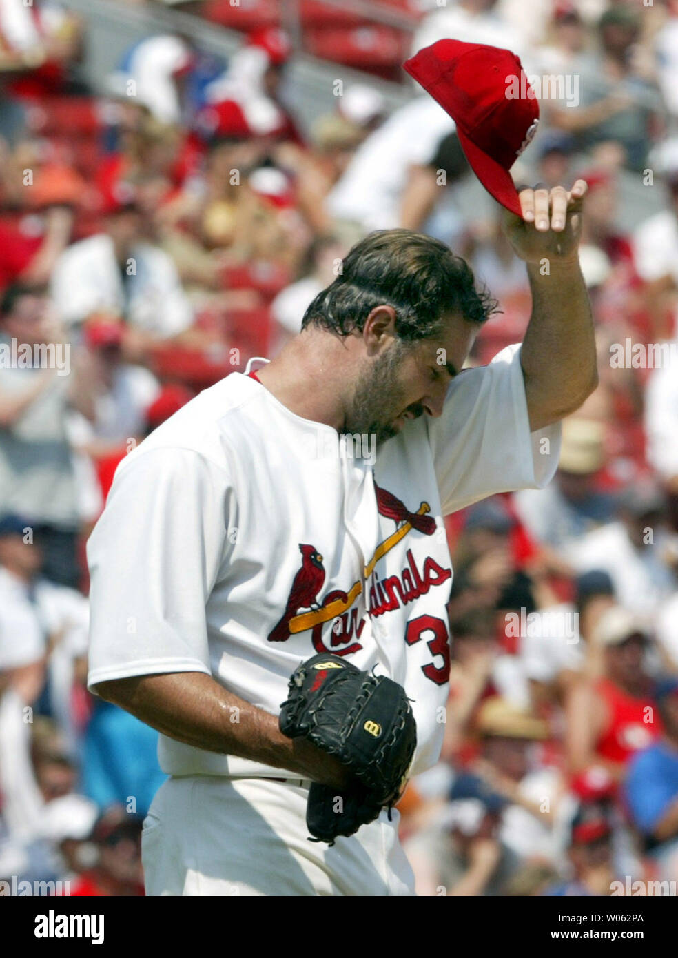 Matt Morris Cardinals High Resolution Stock Photography and Images - Alamy