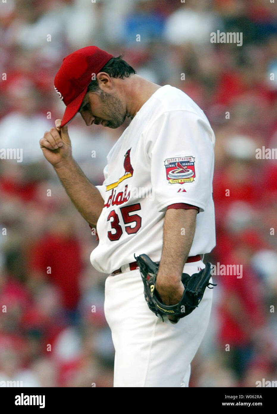 Matt morris cardinals hi-res stock photography and images - Alamy