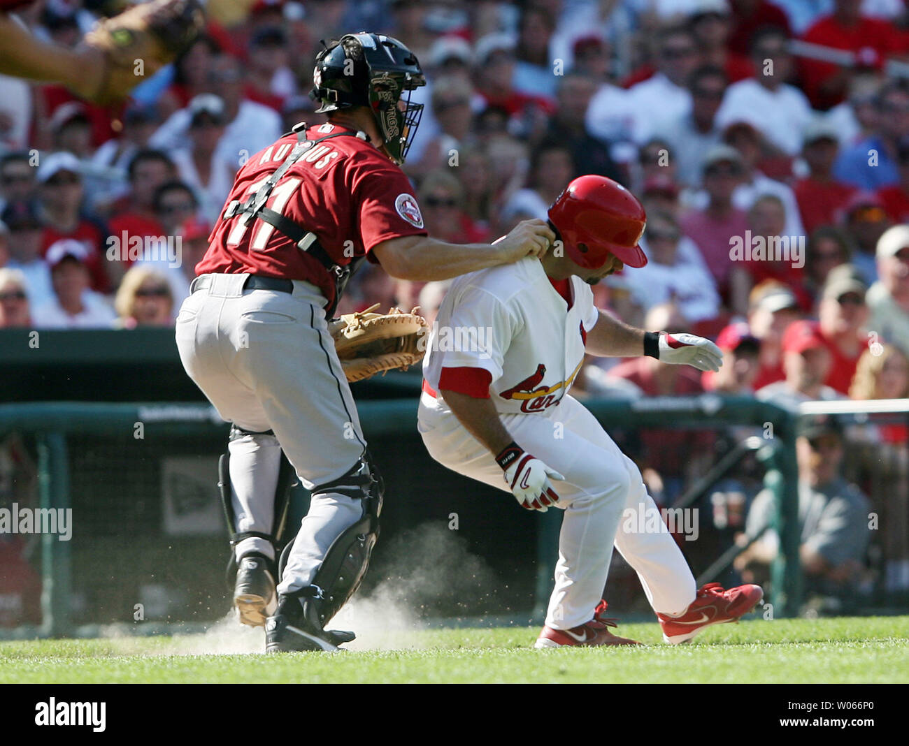 Houston Astros Brad Ausmus tags St. Louis Cardinals Aaron Miles for the ...