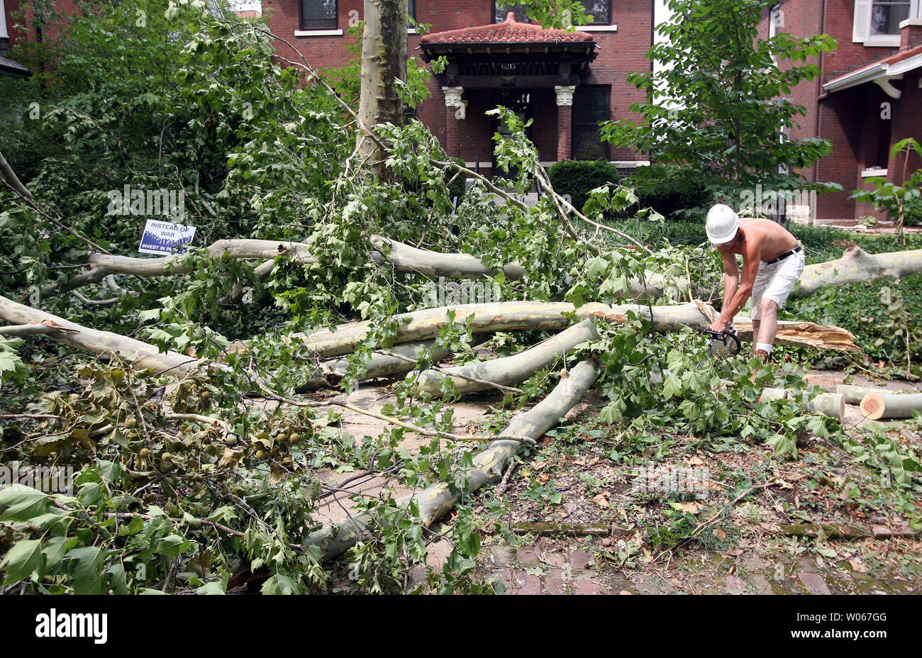 Knocked out tree hi-res stock photography and images - Alamy