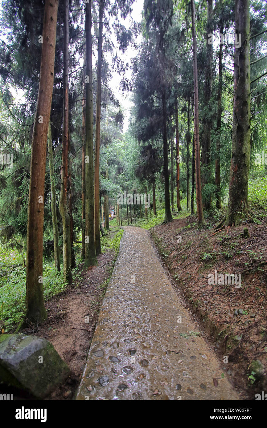 Sichuan mountains rocks trees hi-res stock photography and images - Alamy