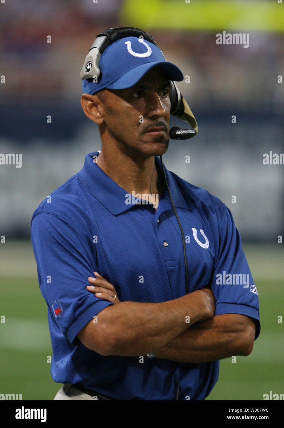 Pre season colts hi-res stock photography and images - Alamy