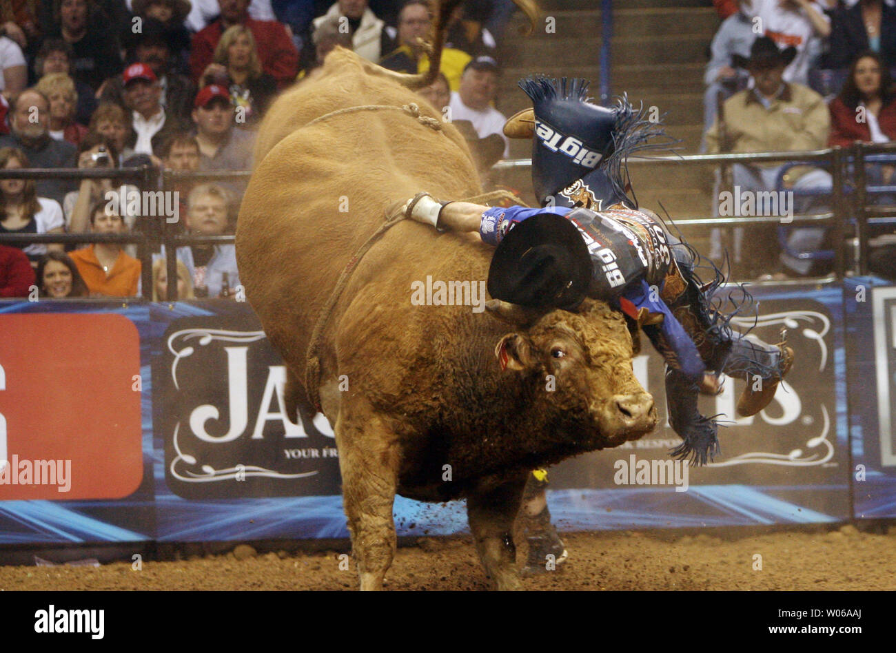 Asteroid Bucking Bull Fathead