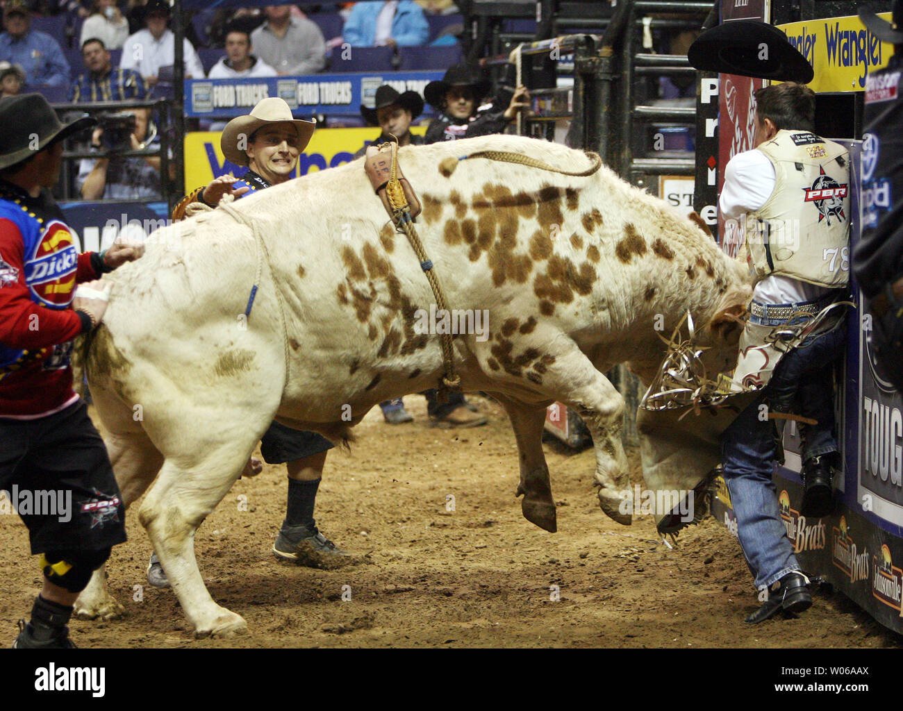 Danny bull hi-res stock photography and images - Alamy