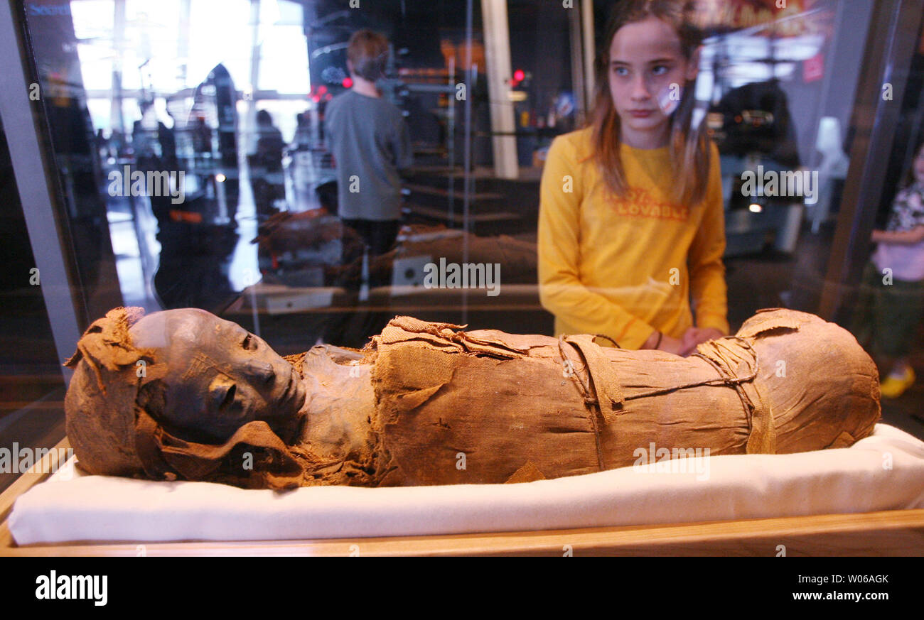 A young visitor to the St. Louis Center gets a look at the new mummy ...