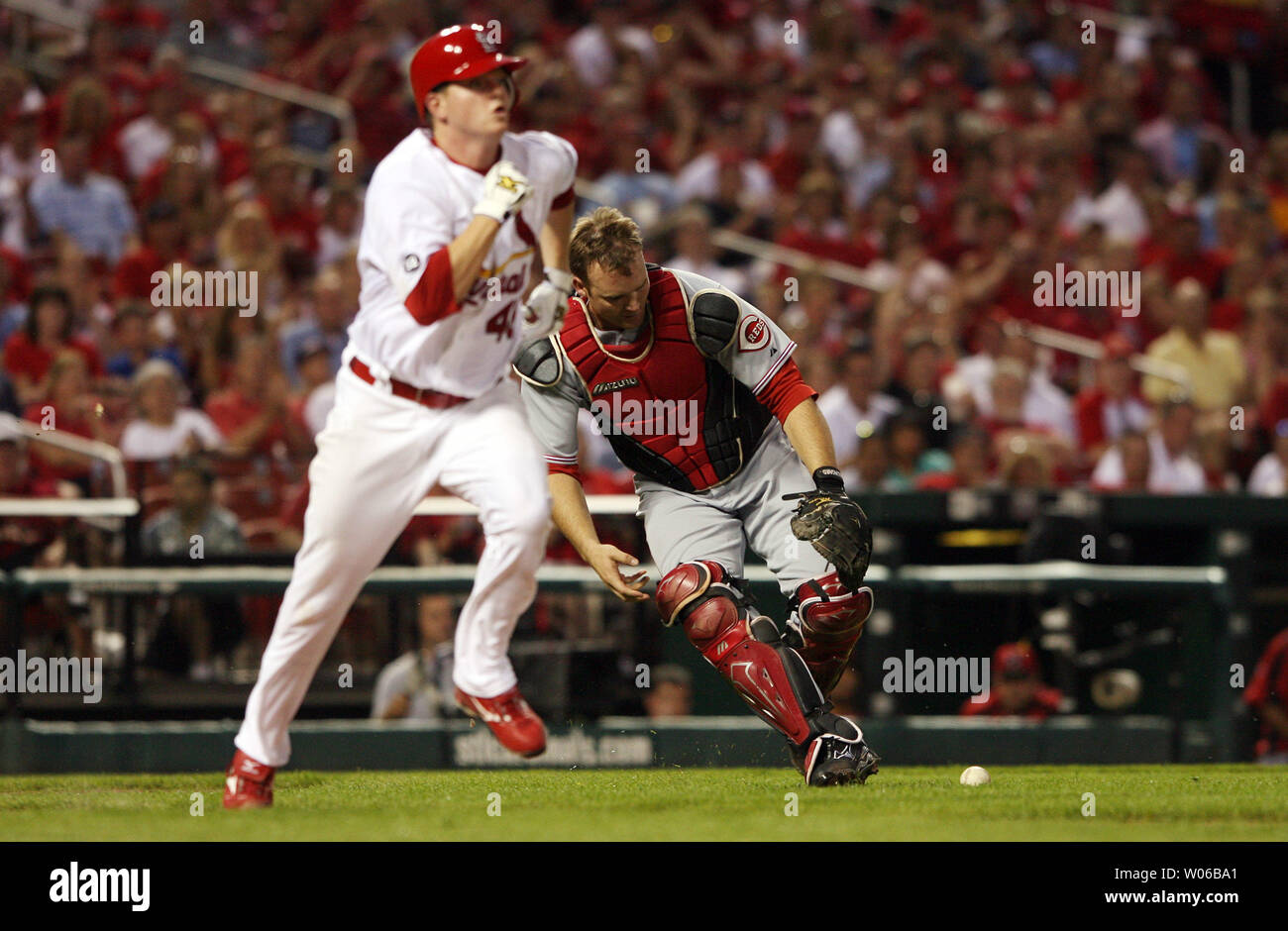 Cincinnati Reds catcher David Ross hustles to pickup a ball bunted by ...