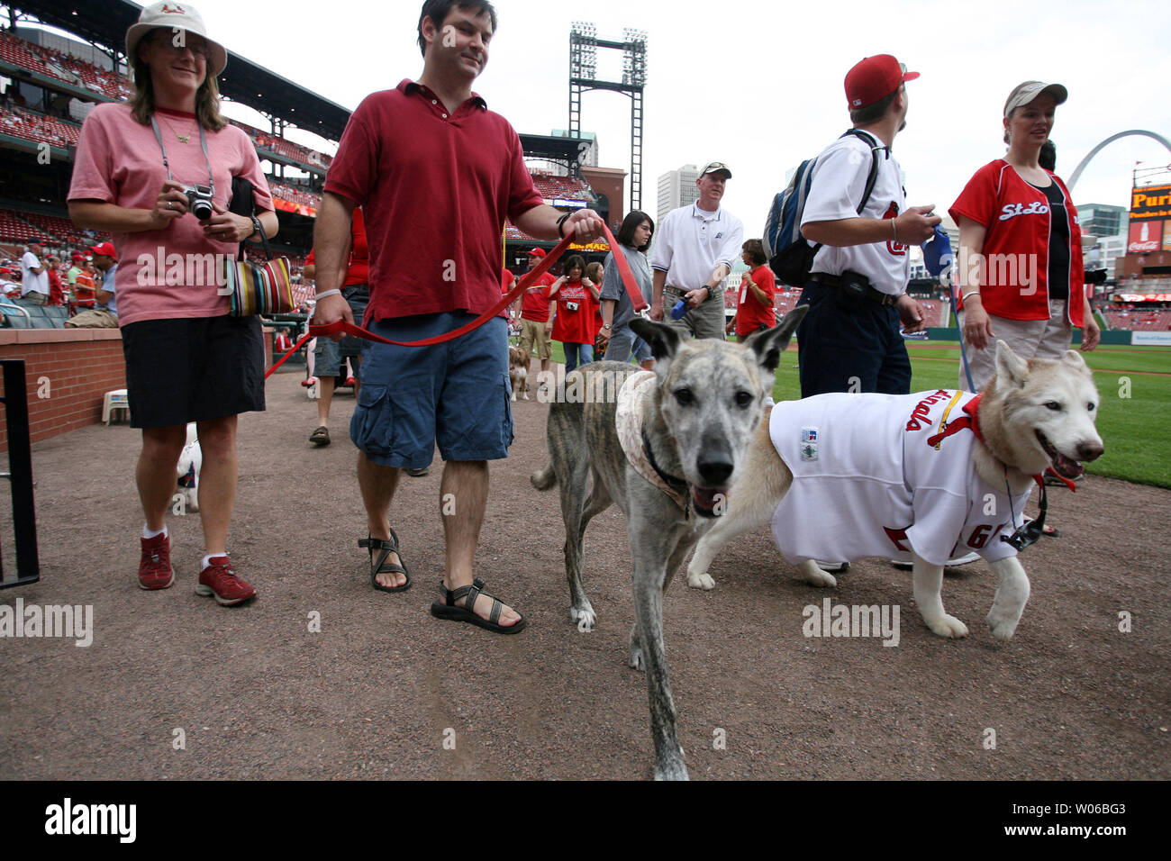 Hundreds of dogs and their owners parade around the warning track of ...