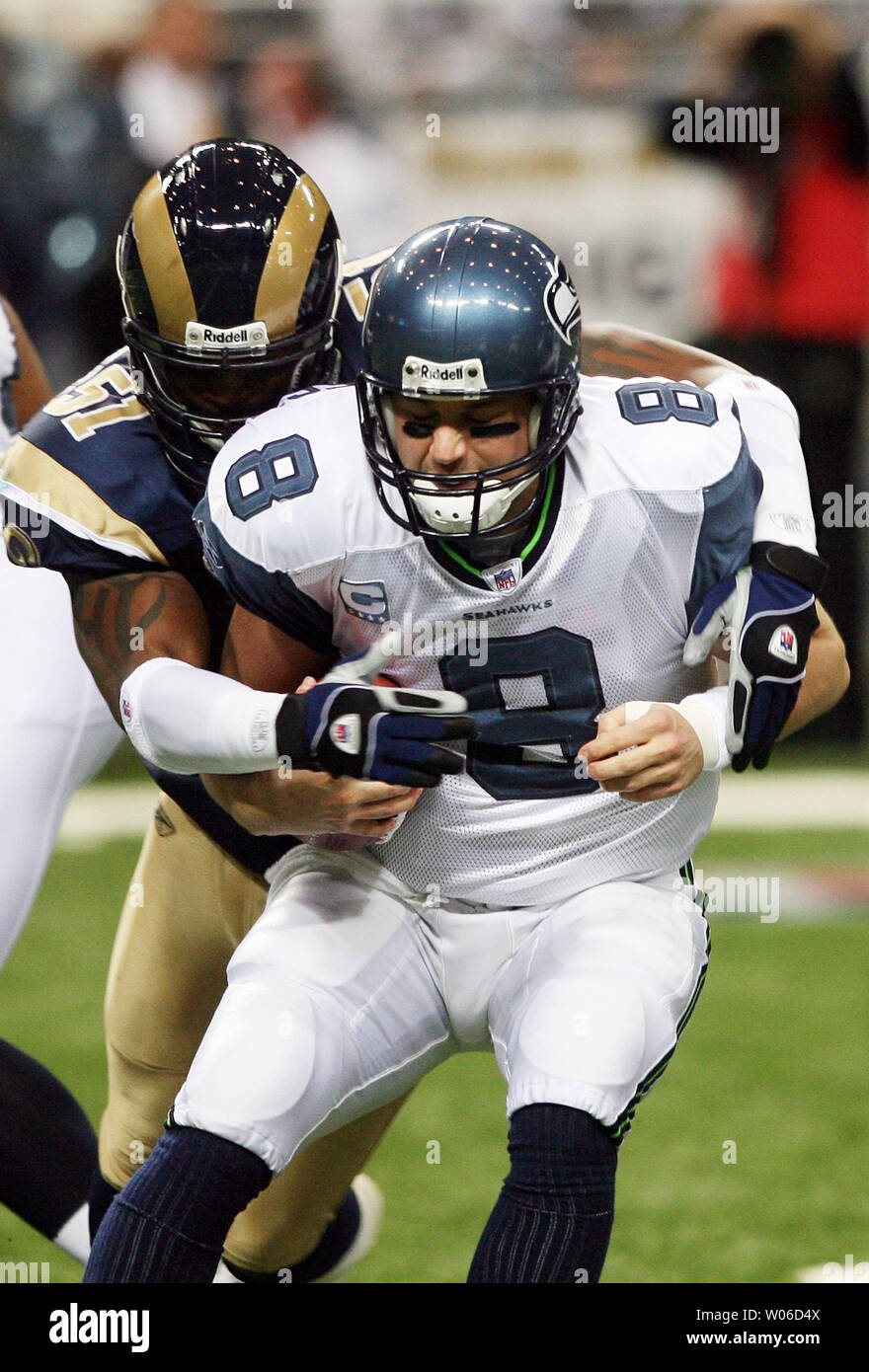 Matt hasselback hi-res stock photography and images - Alamy