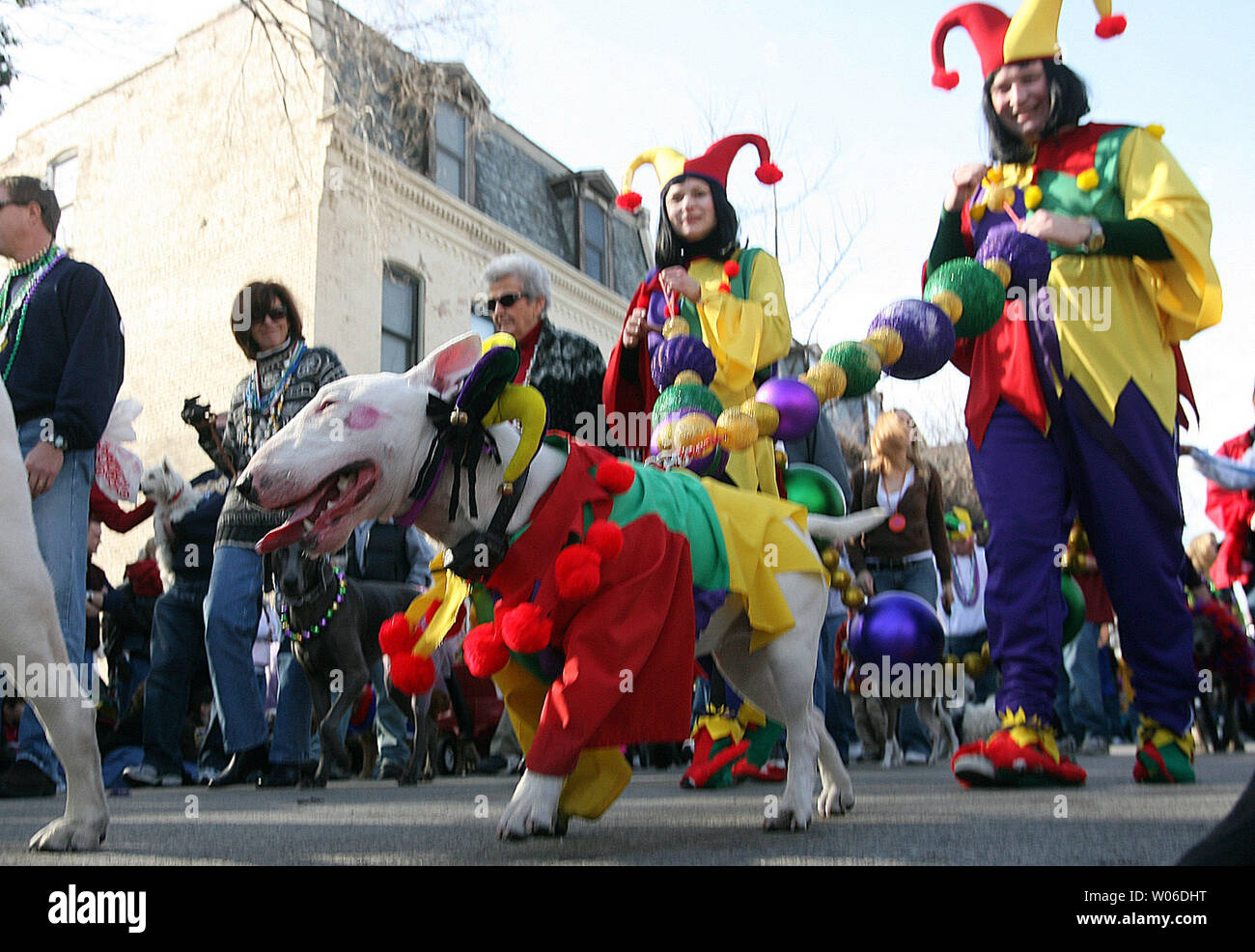 Bill Shelton and Terry Lacey join their bull terrier Lana in costume ...