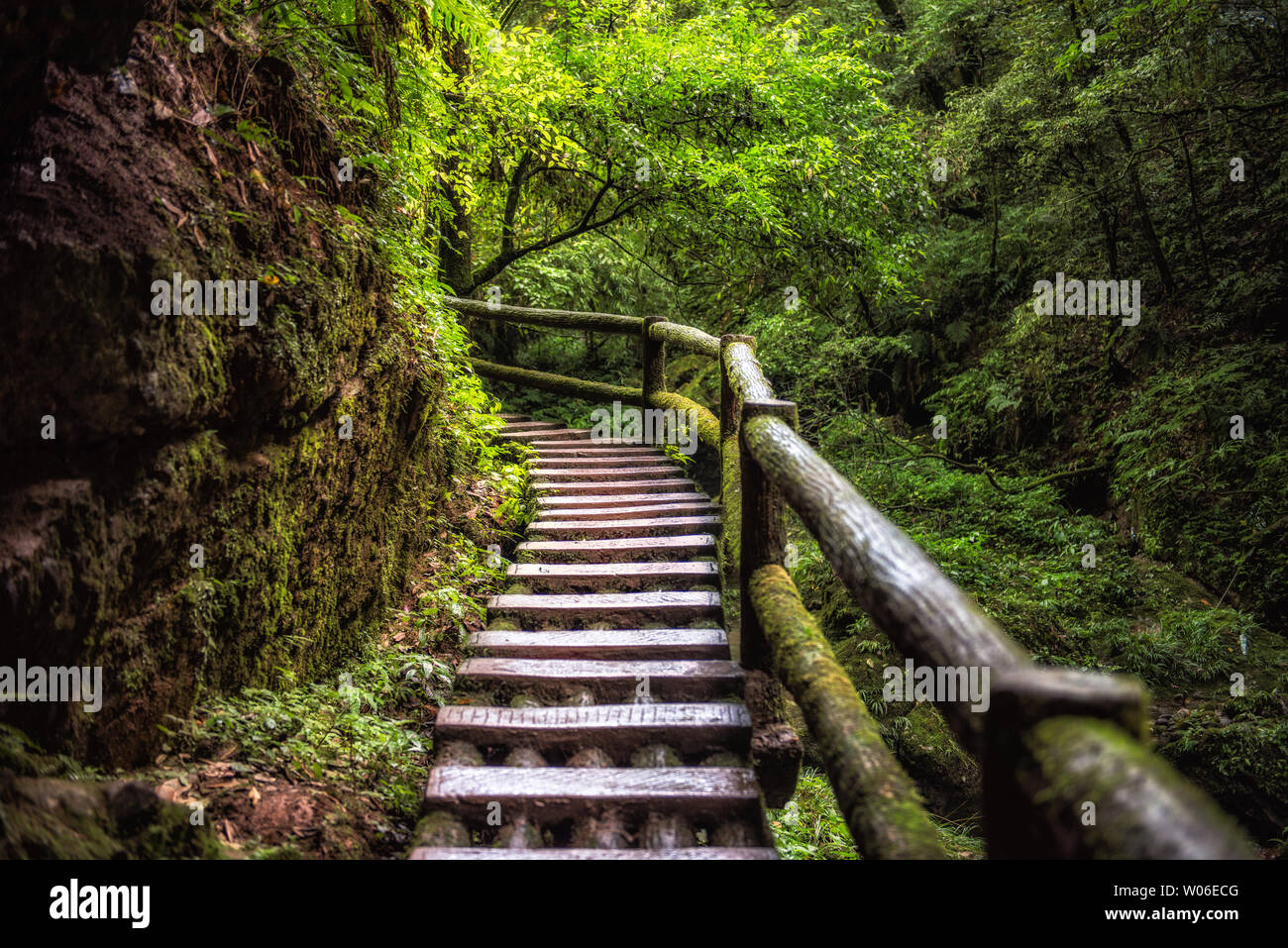 Qingchengshan scenery in Chengdu, Sichuan Stock Photo - Alamy