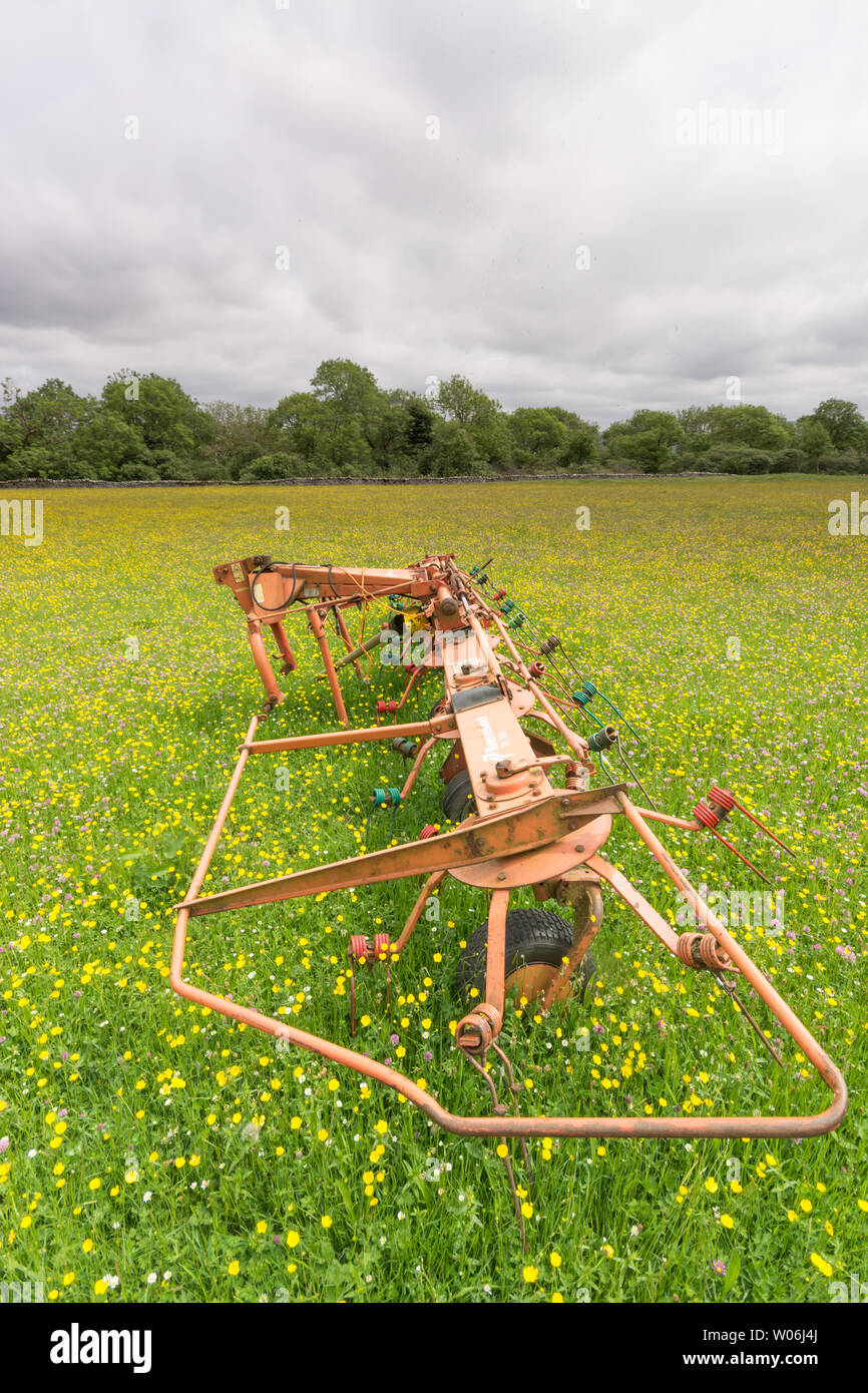 Before the hay cutting Stock Photo - Alamy