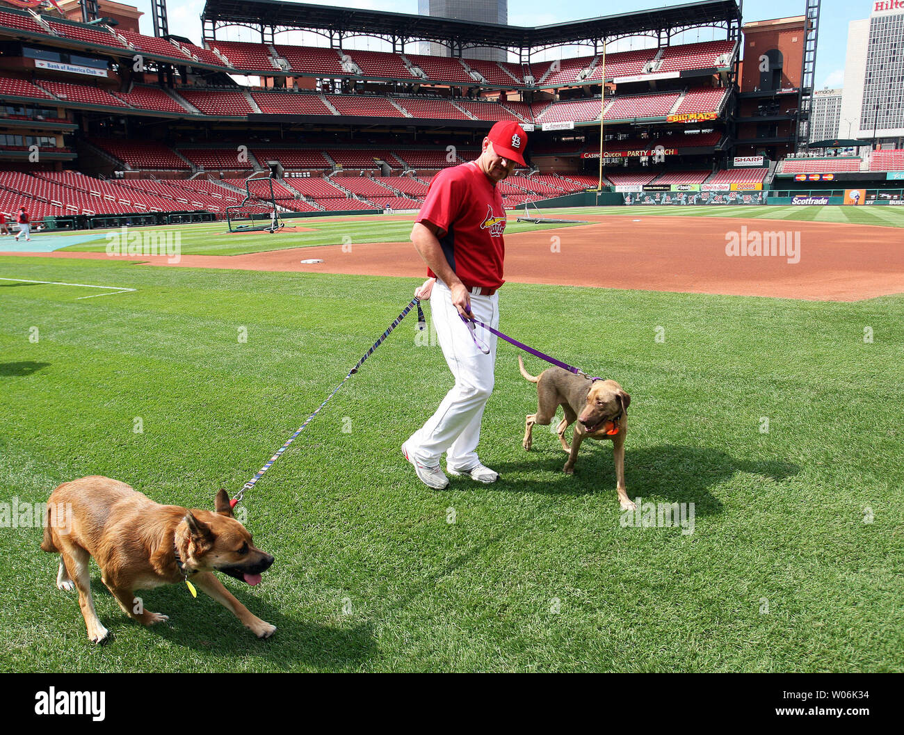 St. Louis Cardinals pitcher Kyle McClellan takes two friends for a walk ...