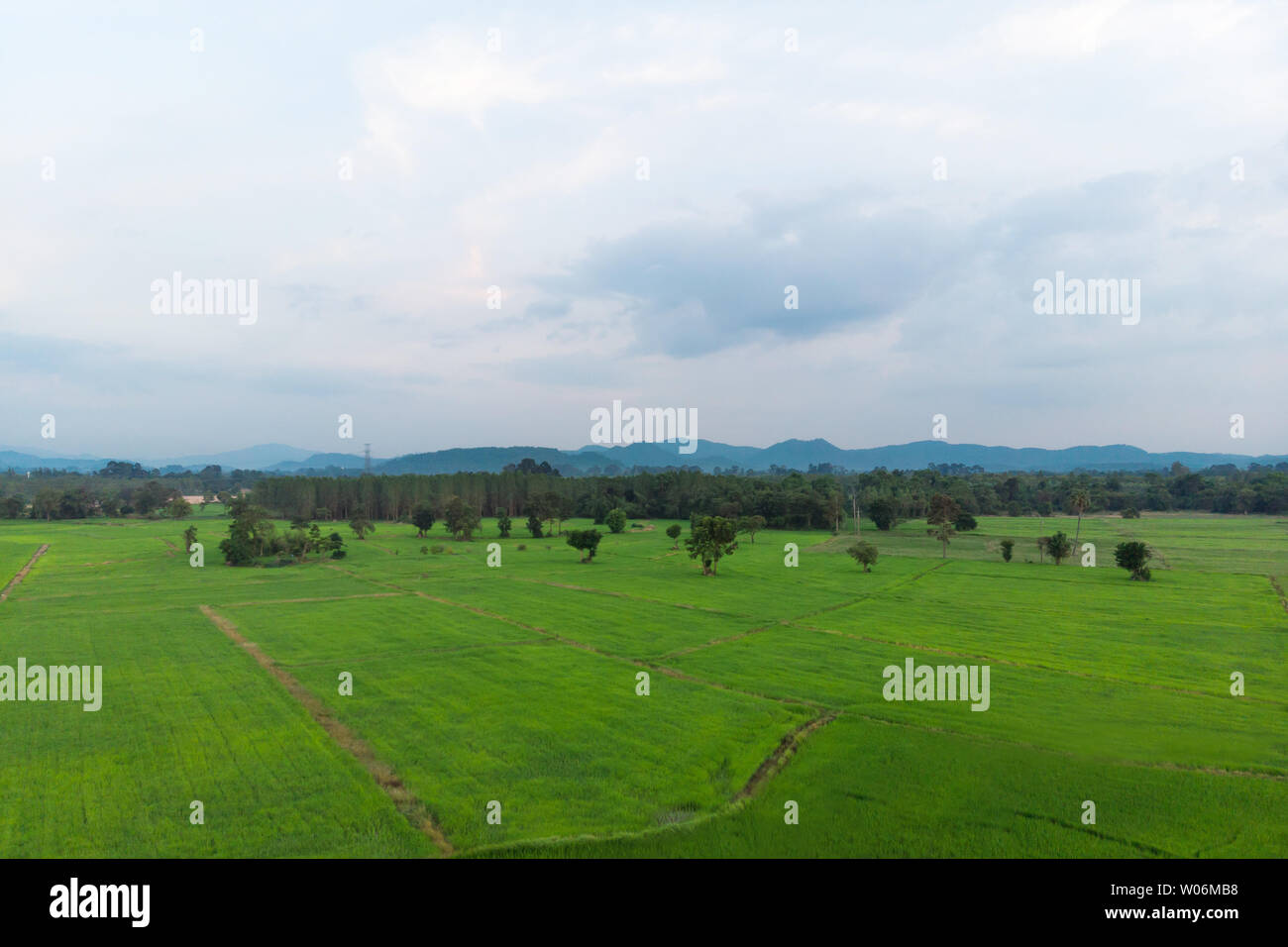 Drone shot Aerial view landscape scenic of rural agriculture rice field ...