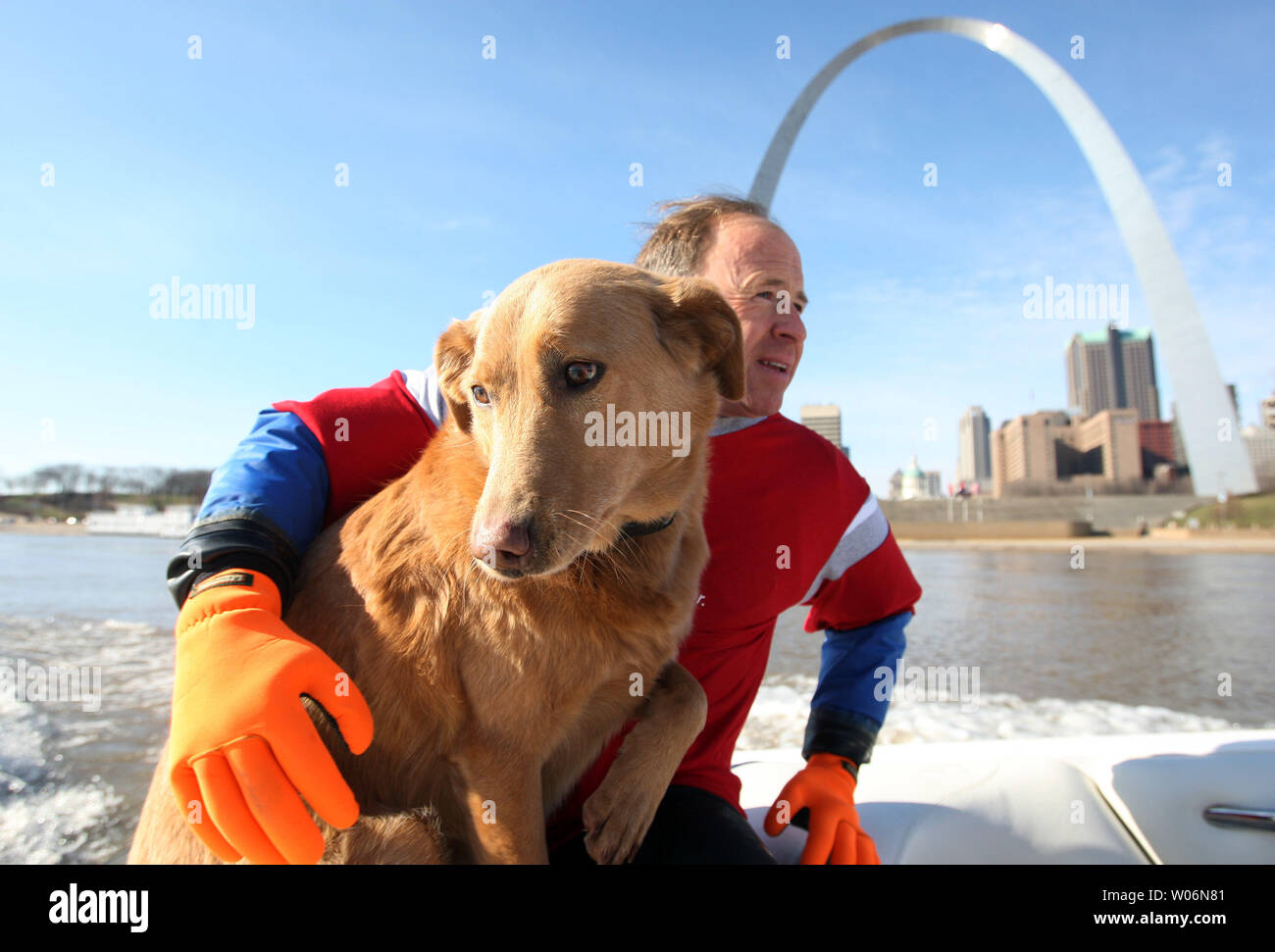 Can You Give A Dog Sugar Water