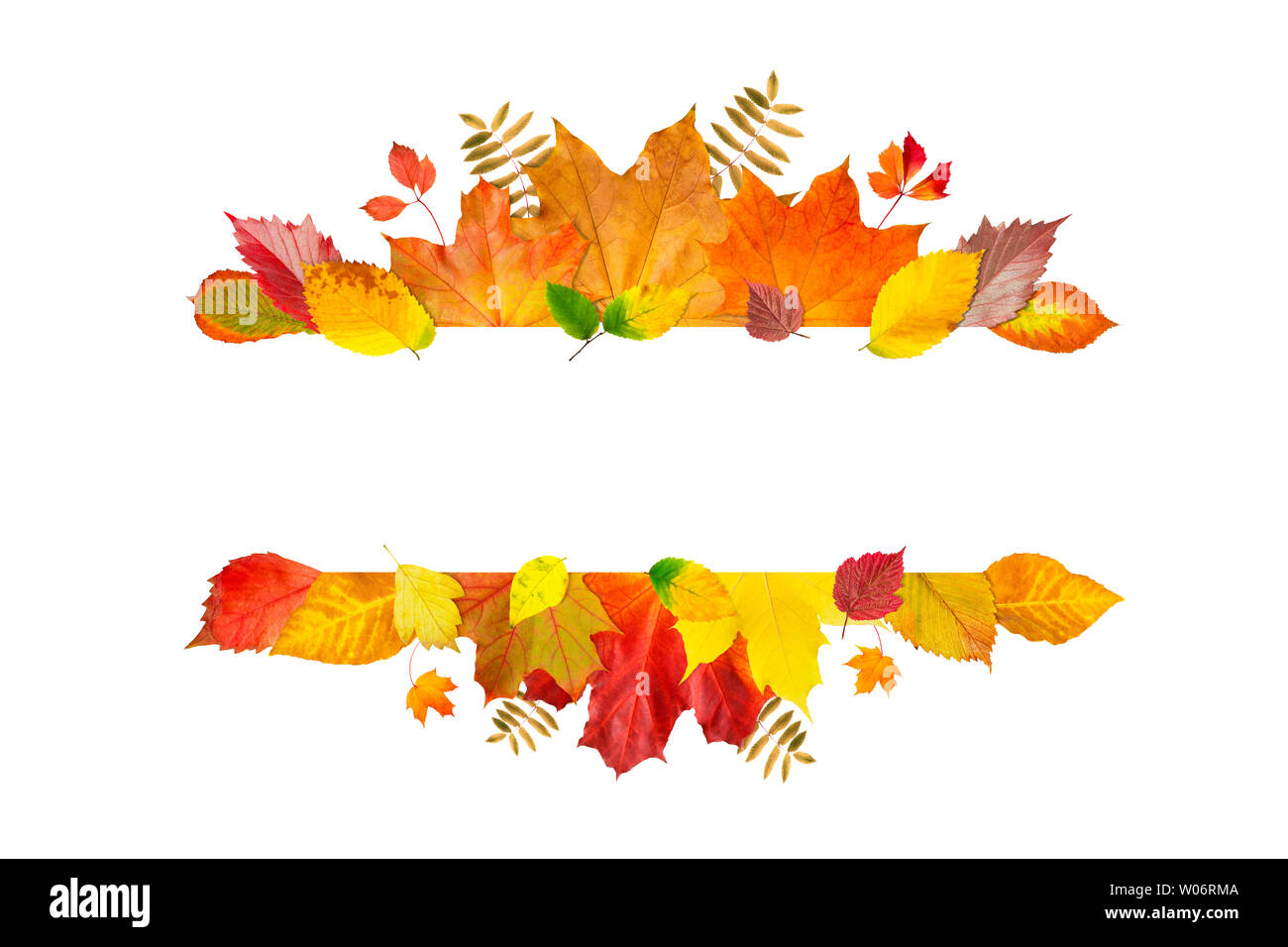 Autumn Leaves Banner