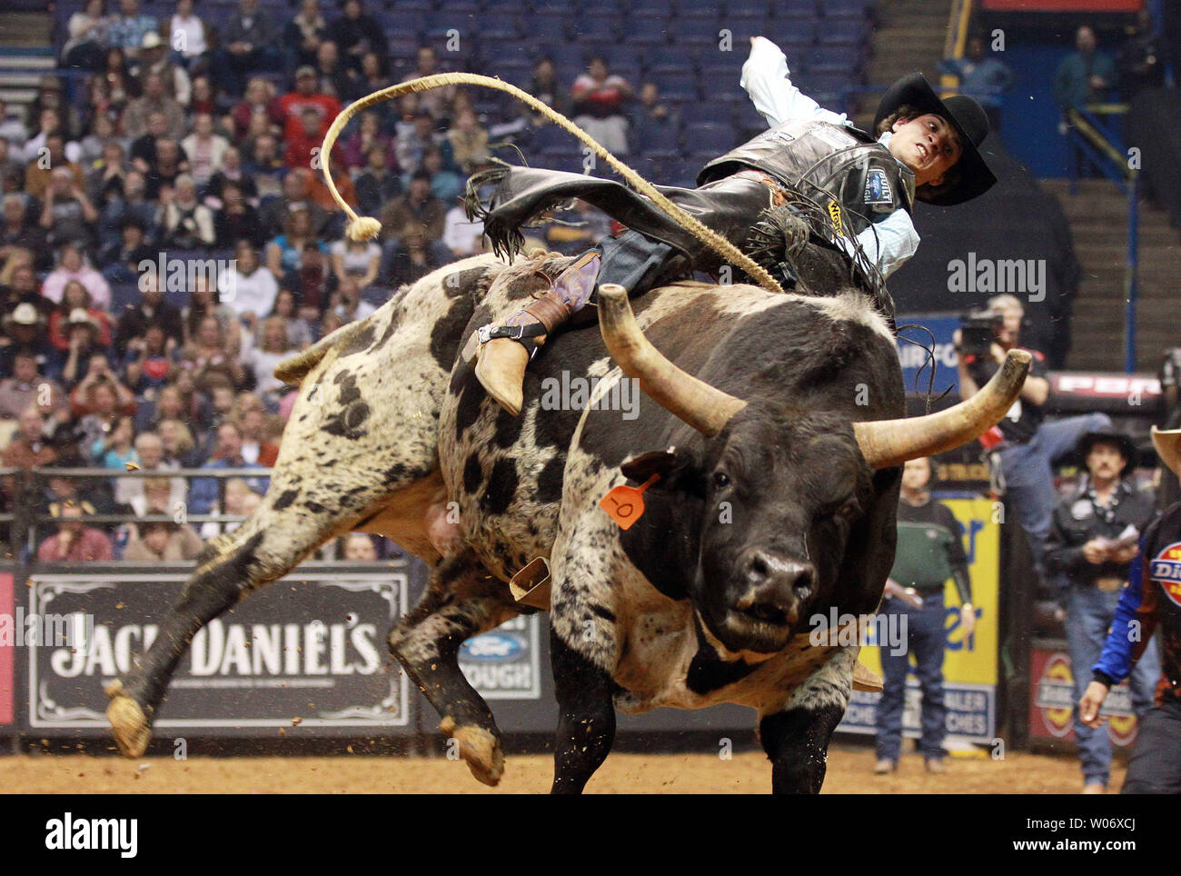 Brian canter bull hi-res stock photography and images - Alamy