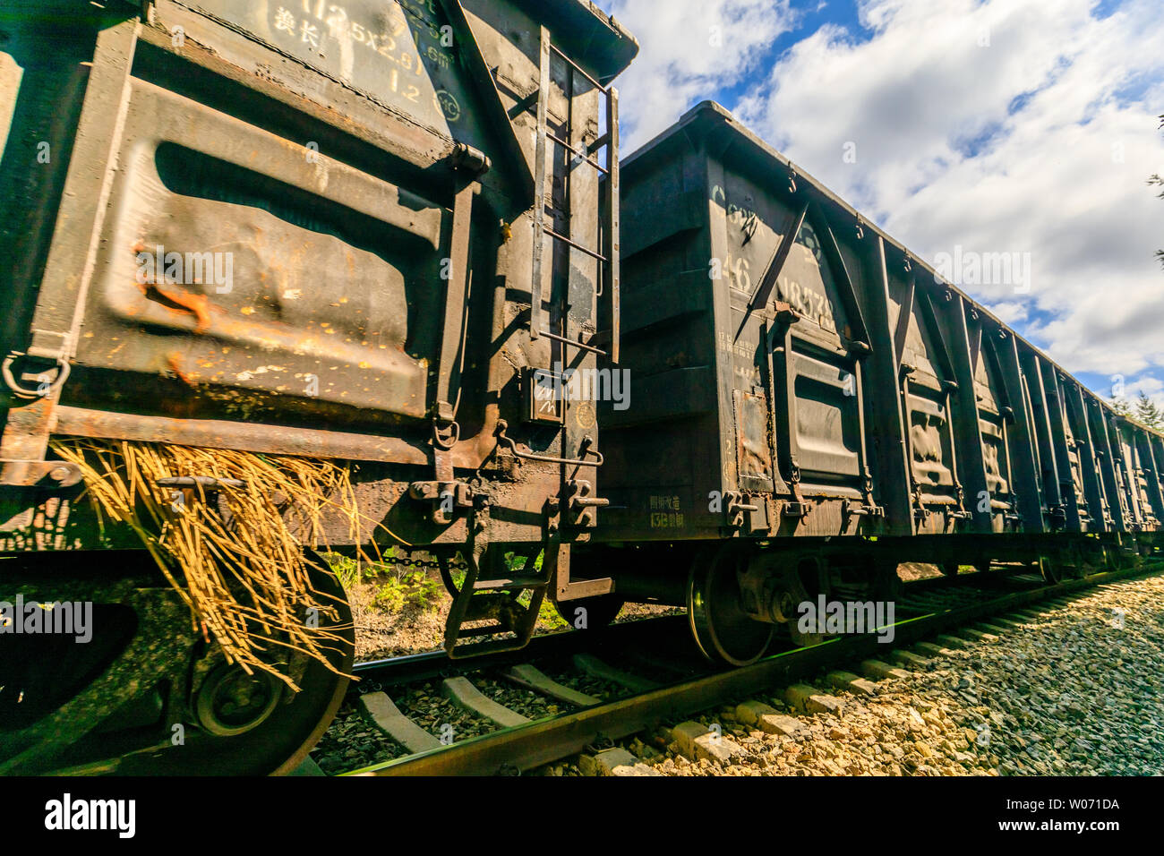 Forest wood train Stock Photo - Alamy