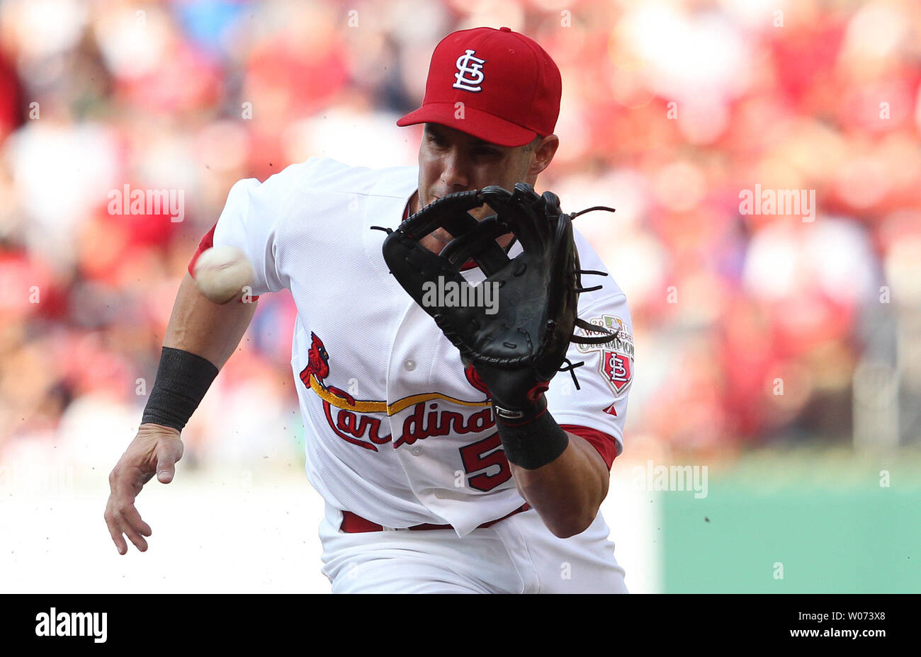 St. Louis Cardinals Skip Schumaker fields a ground ball off the bat of ...