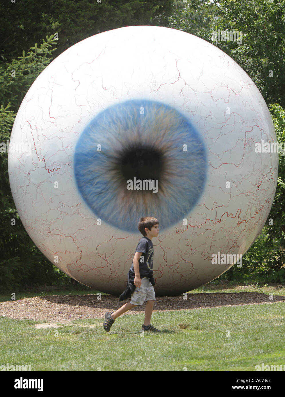 A visitor to Laumeier Sculpture Park walks past Tony Tasset's "Eye ...
