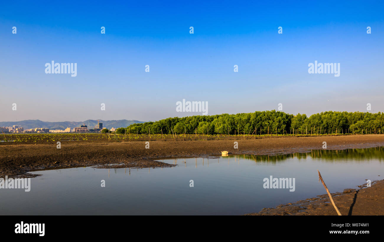 Yanzhou hi-res stock photography and images - Alamy
