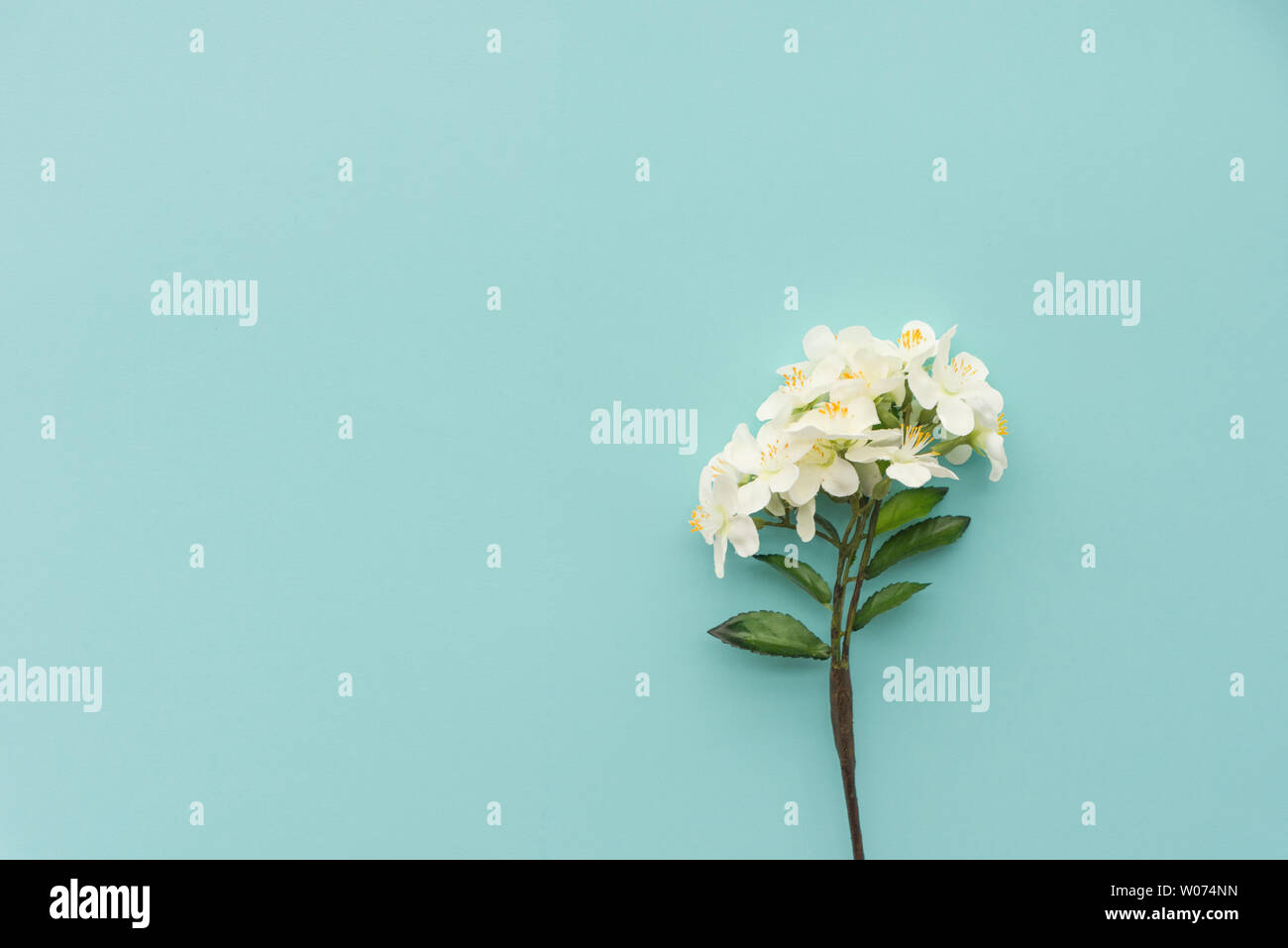 Color background material Stock Photo - Alamy