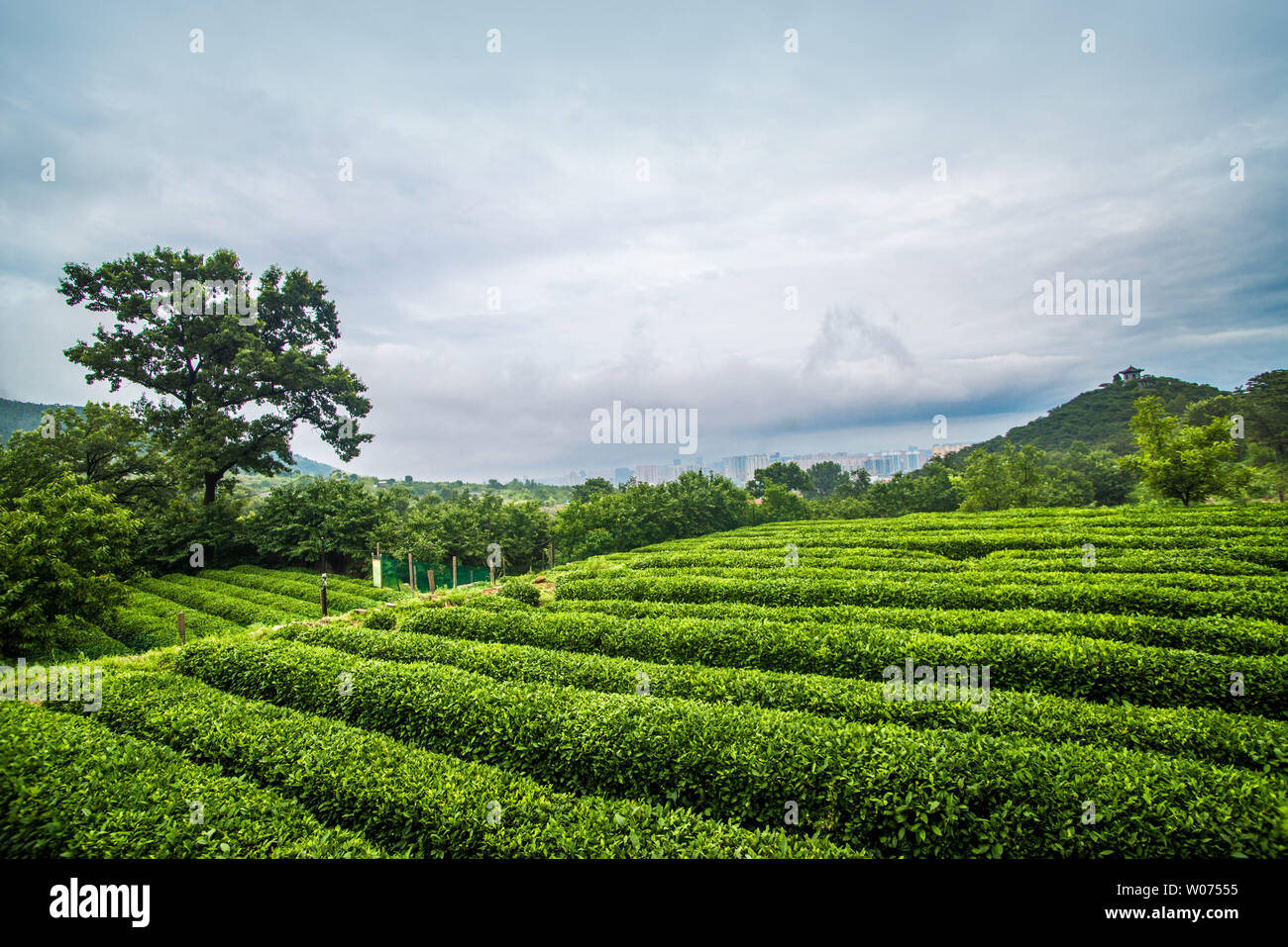 Shandong taishan hi-res stock photography and images - Alamy