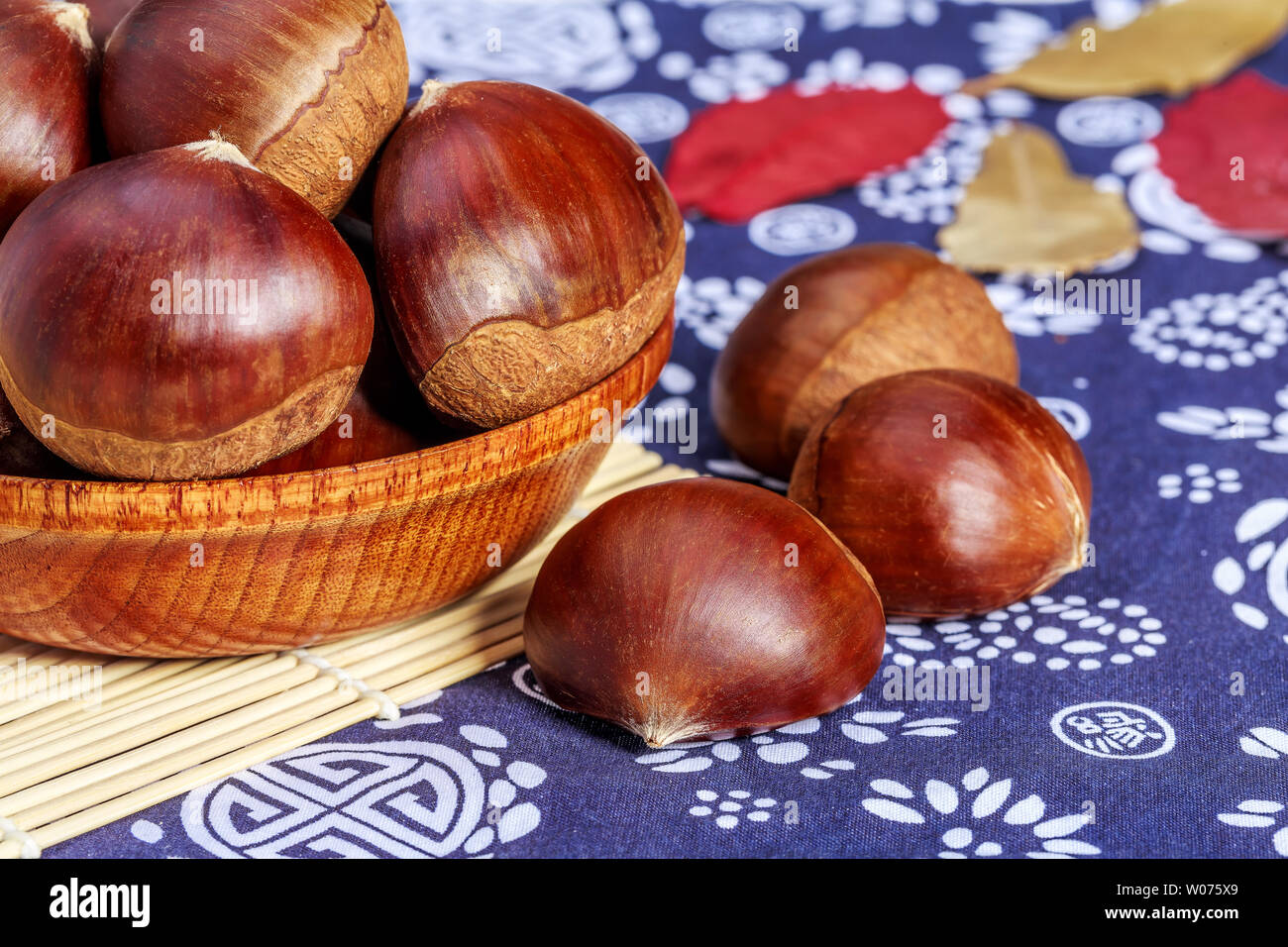 Chestnut horse anatomy hi-res stock photography and images - Alamy