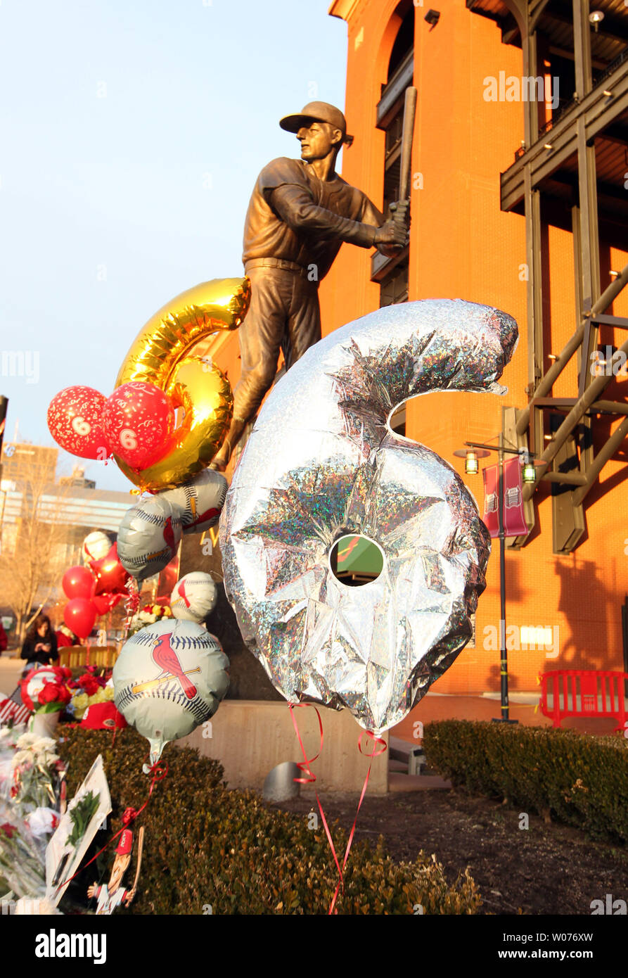 Balloons blow in the wind around the Stan Musial statue outside of ...