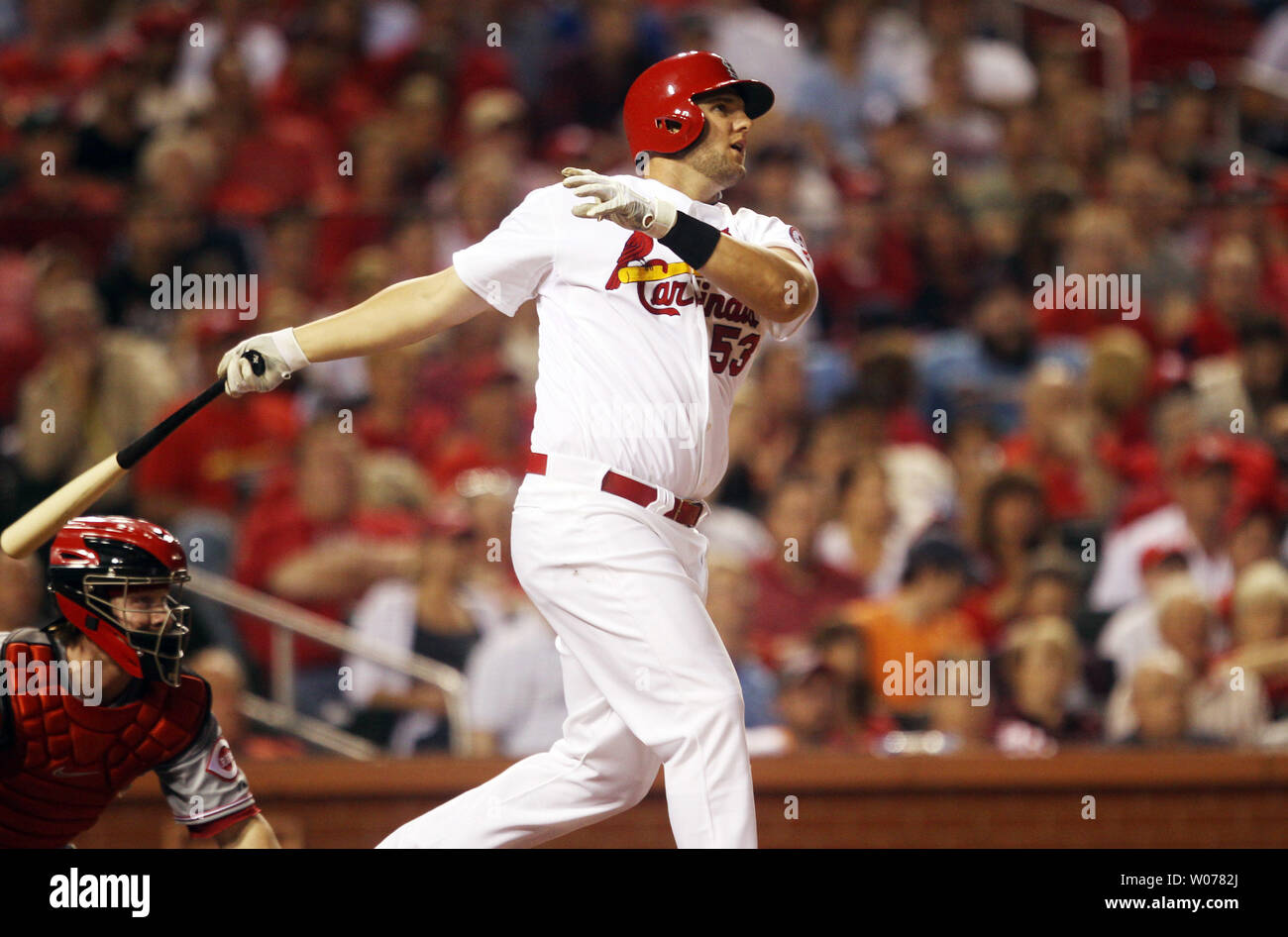Matt Adams Cardinals