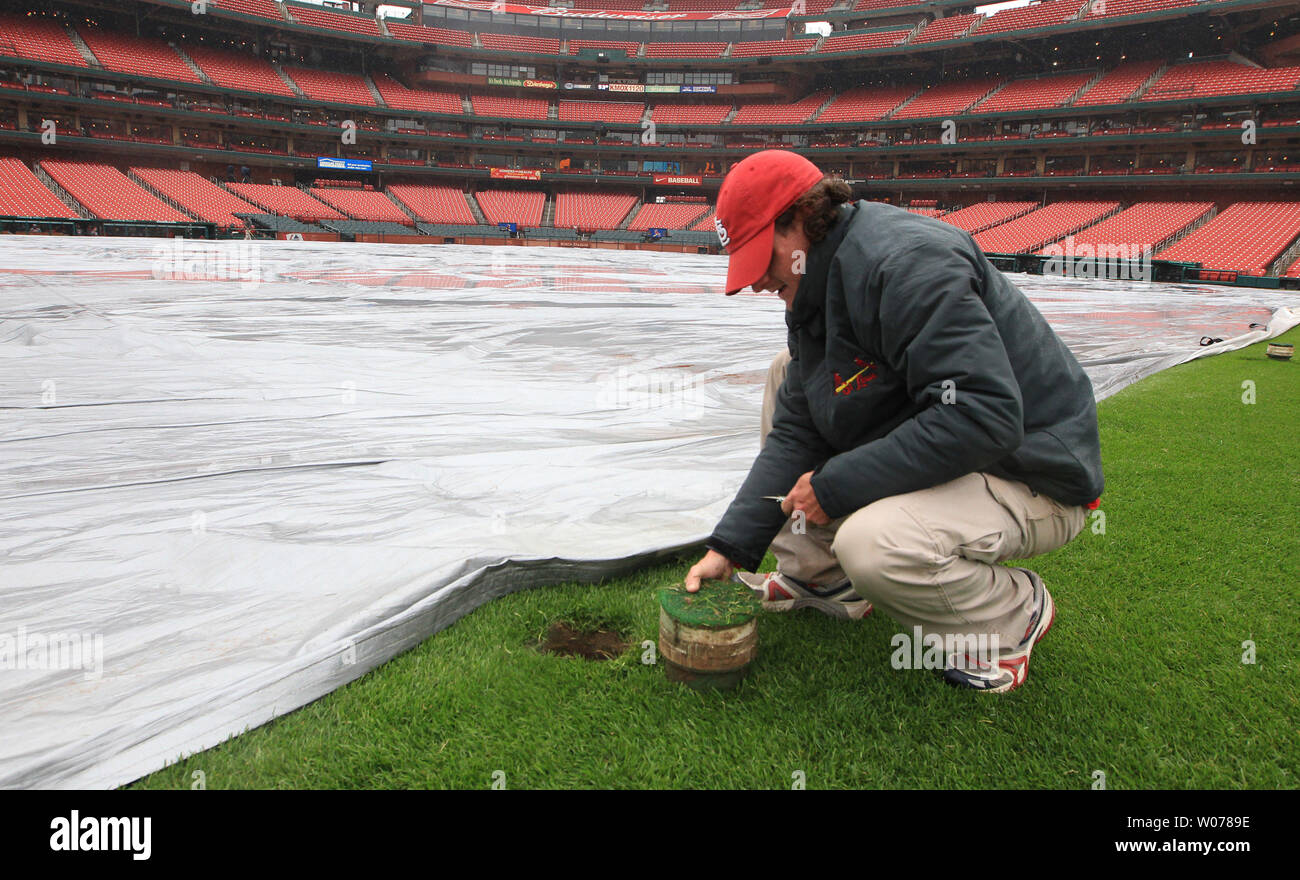 Busch Stadium groundskeeper Dan Looney, removes a drain cover from the ...