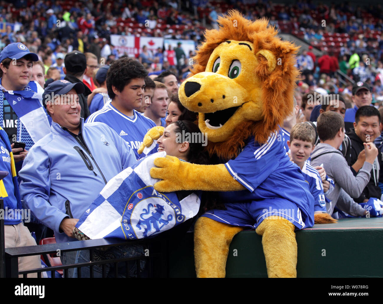 Chelsea mascot hi-res stock photography and images - Alamy