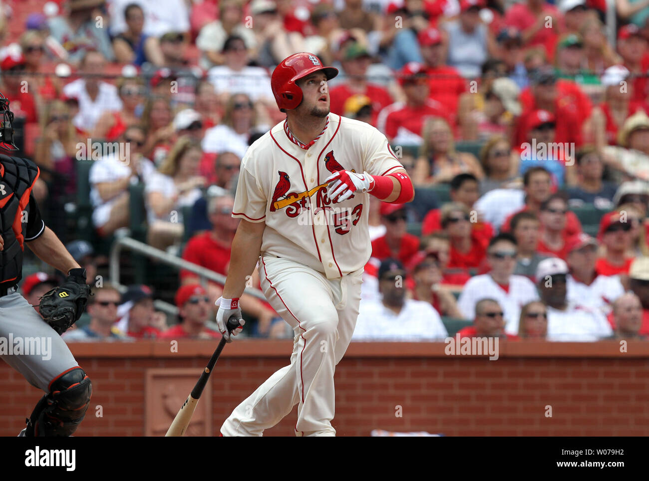 Matt Adams Back Nine