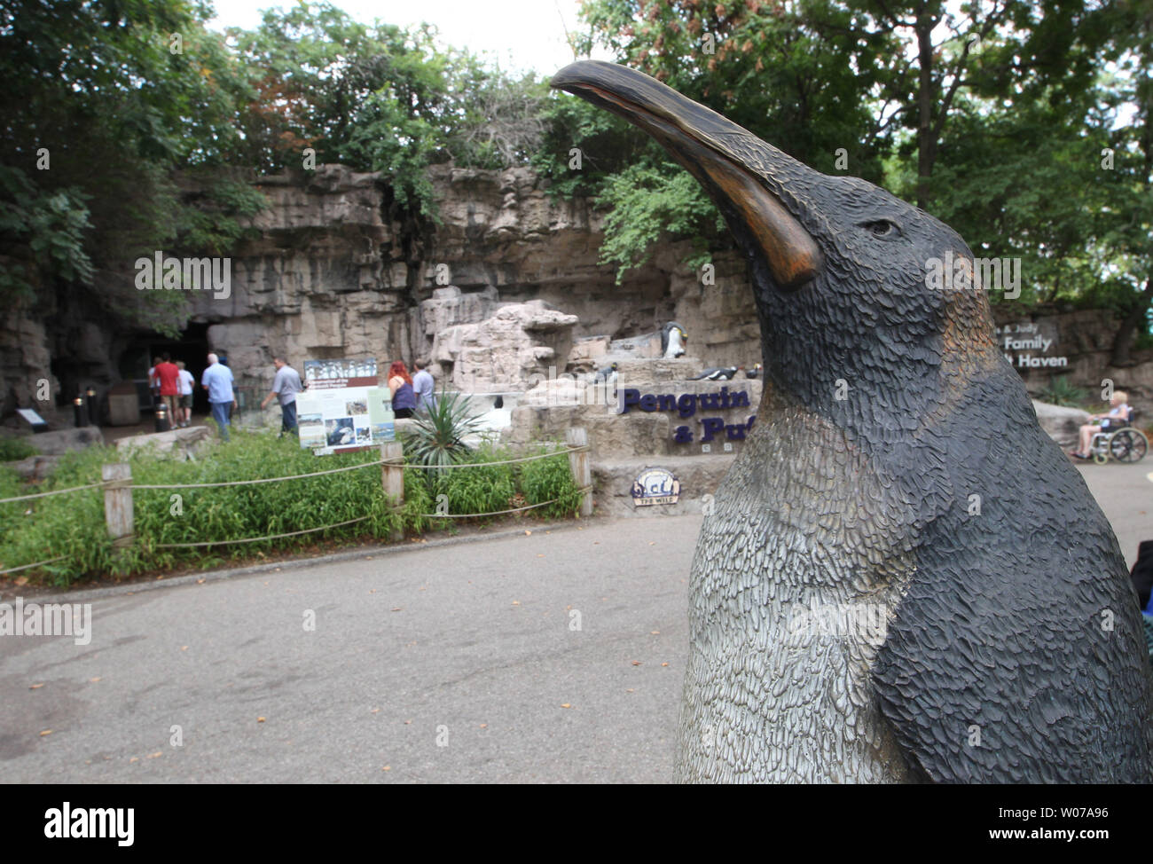 A wooden penguin stands in front of the Saint Louis Zoo's Penguin and ...