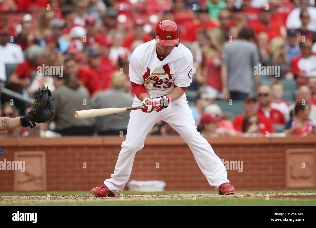 David Freese Batting