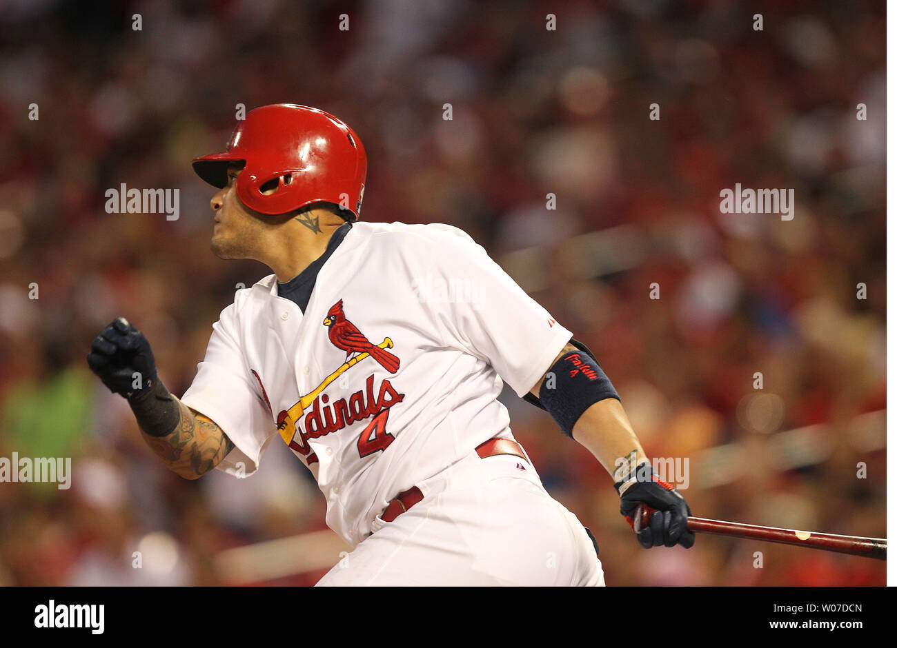 Matt Adams Back Nine