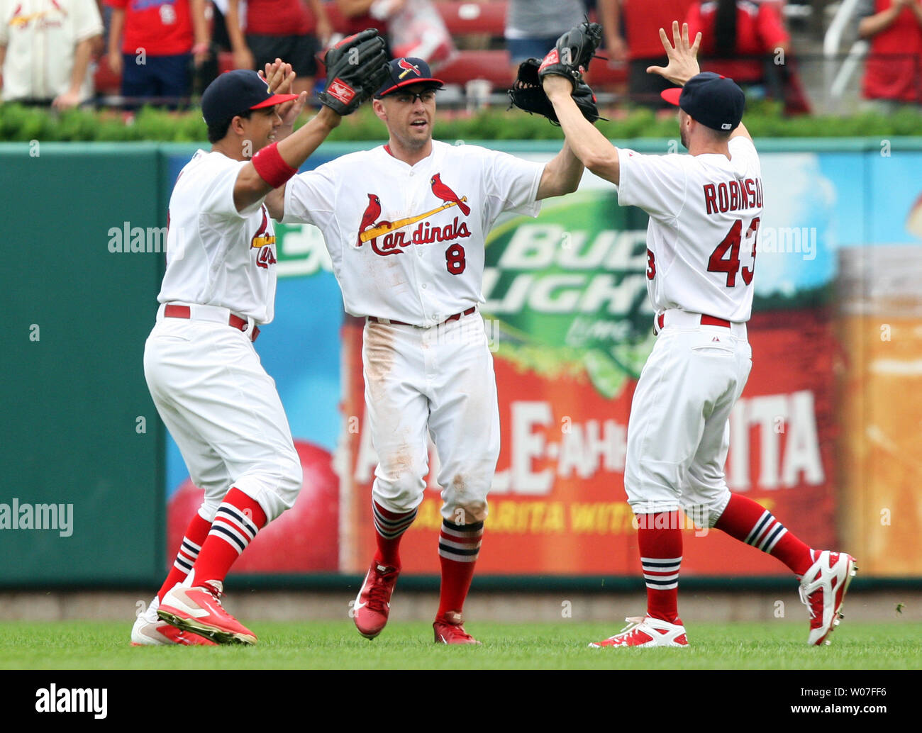 Shane Robinson Cardinals
