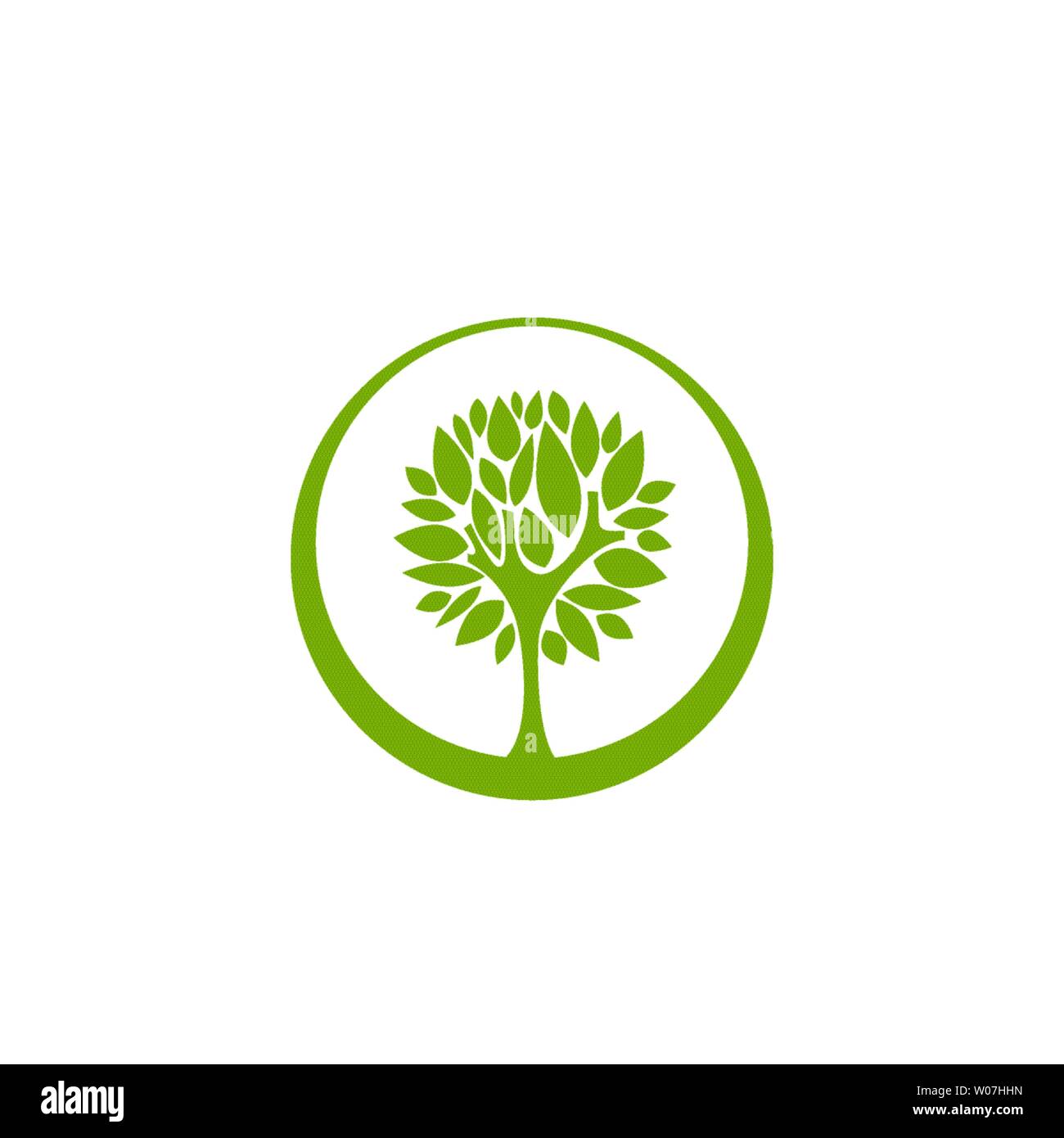 Green flat tree with sharp leaves in circle isolated on white. organic ...