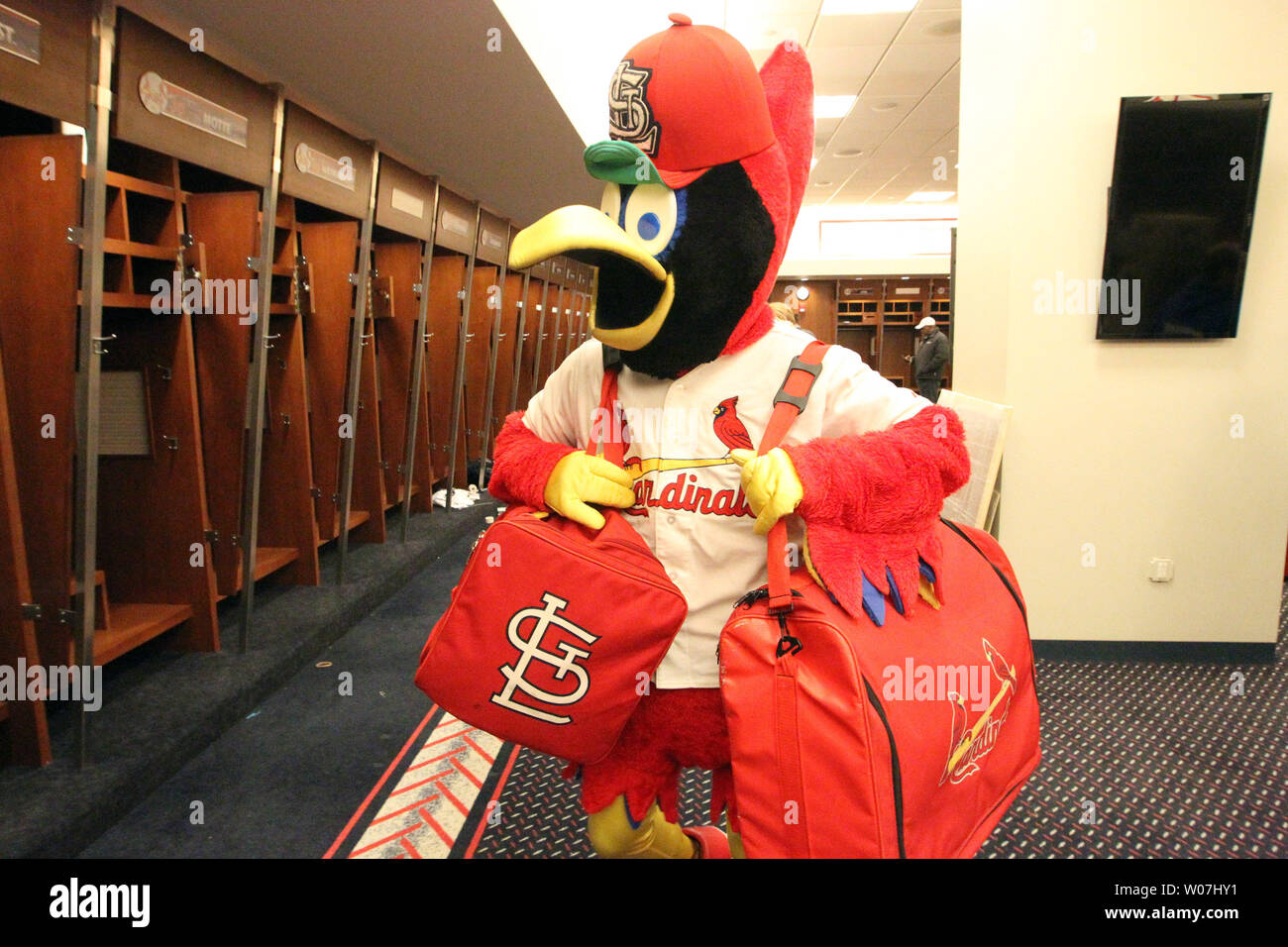 St louis cardinals mascot hi-res stock photography and images - Alamy
