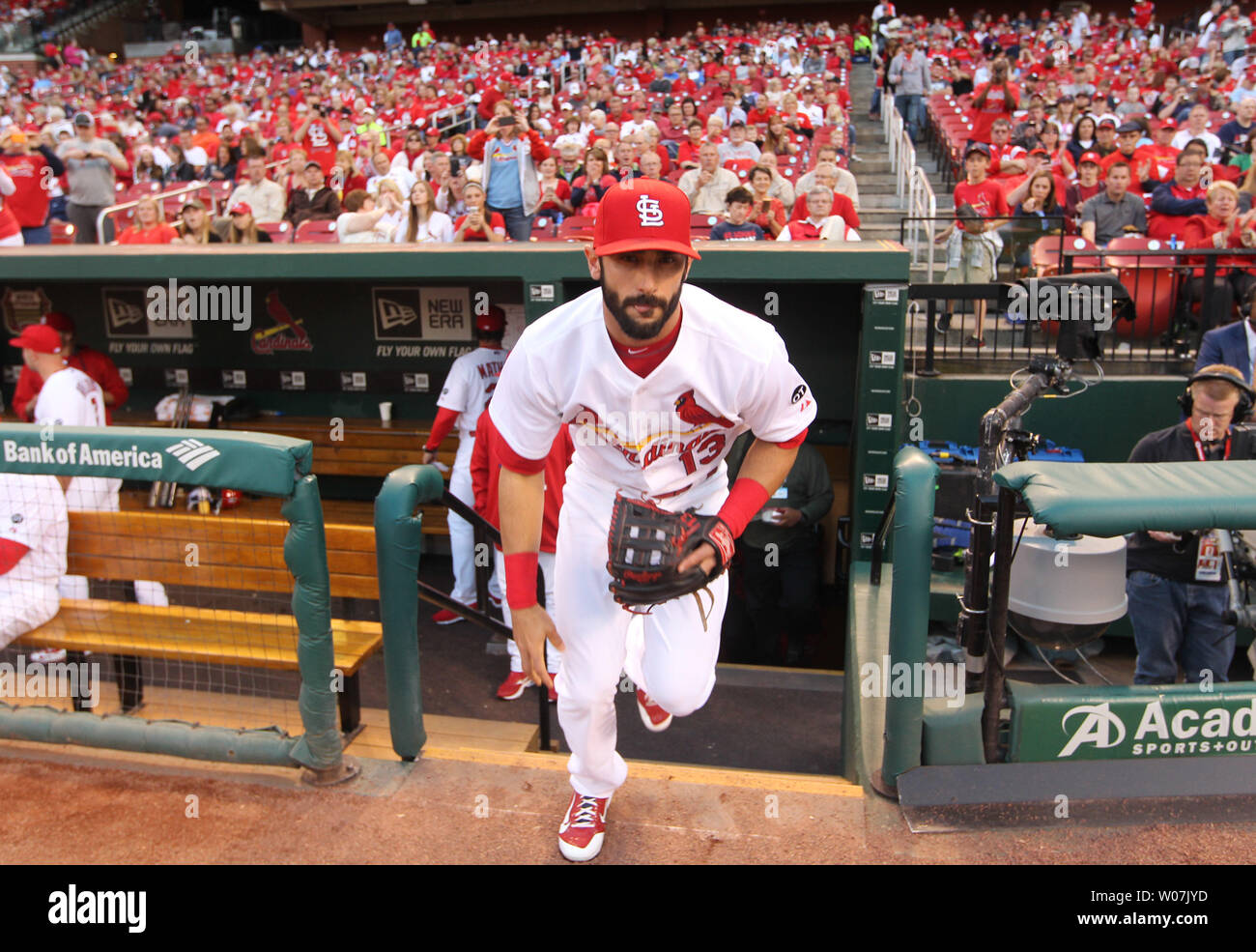St. Louis Cardinals Matt Carpenter takes to the field for a game ...