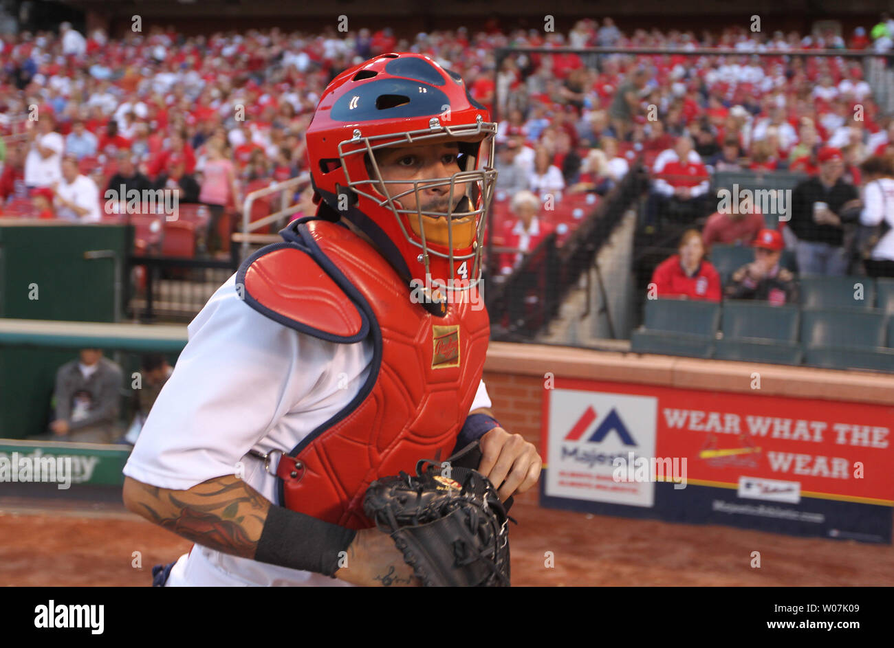 St. Louis Cardinals catcher Yadier Molina takes to the field for a game ...