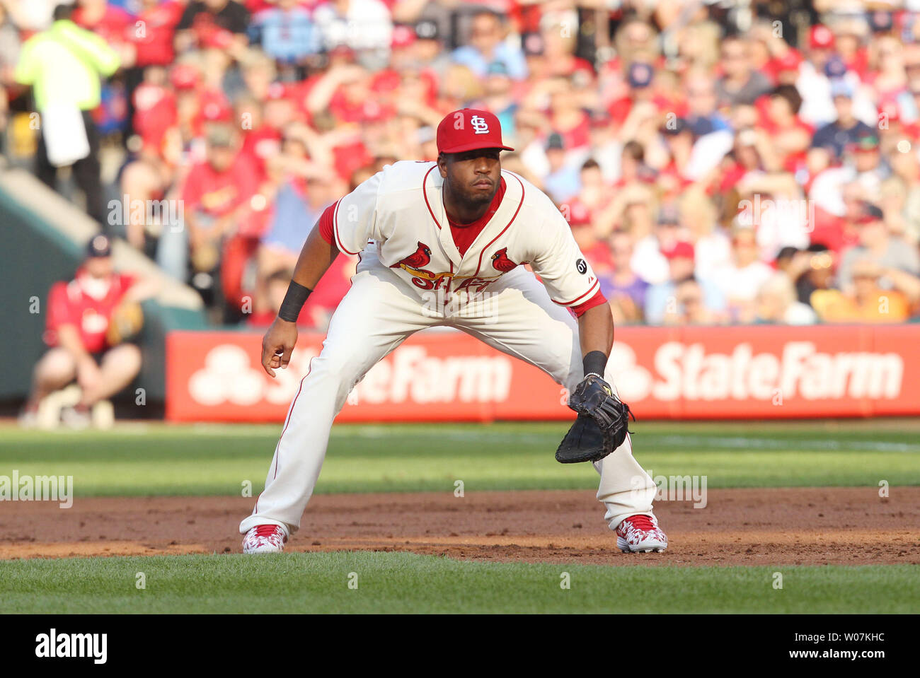 St. Louis Cardinals first baseman Xavier Scruggs sets during a pitch ...
