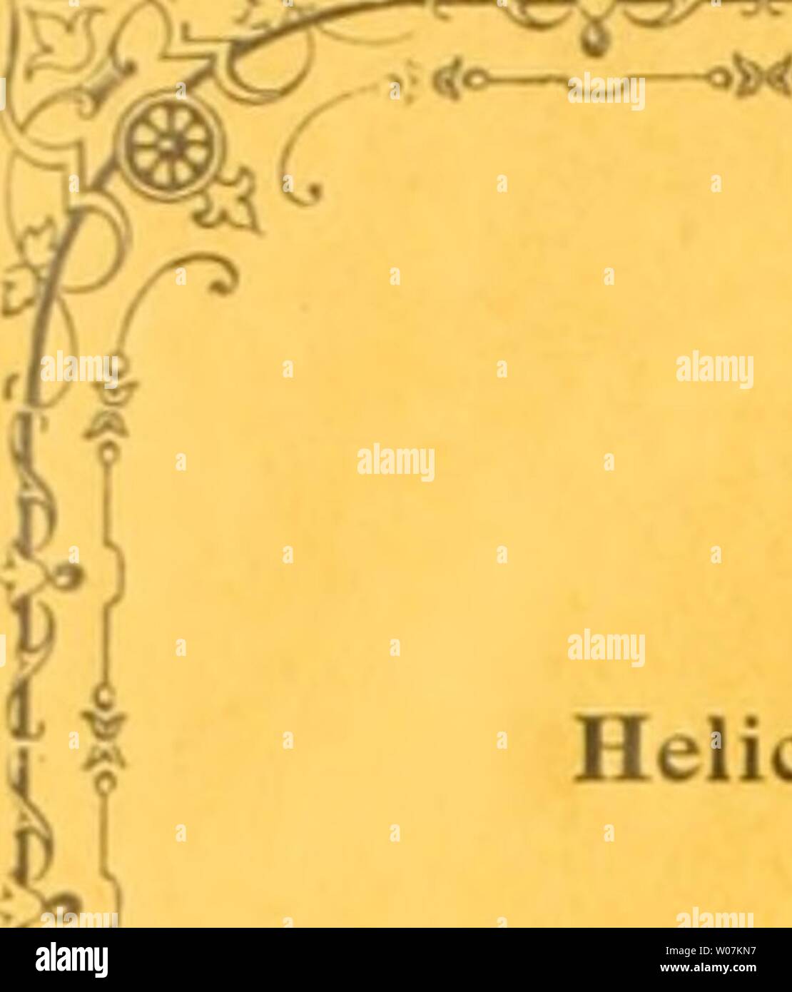 Archive image from page 589 of Die Familie der Helicinidae (1911). Die ...