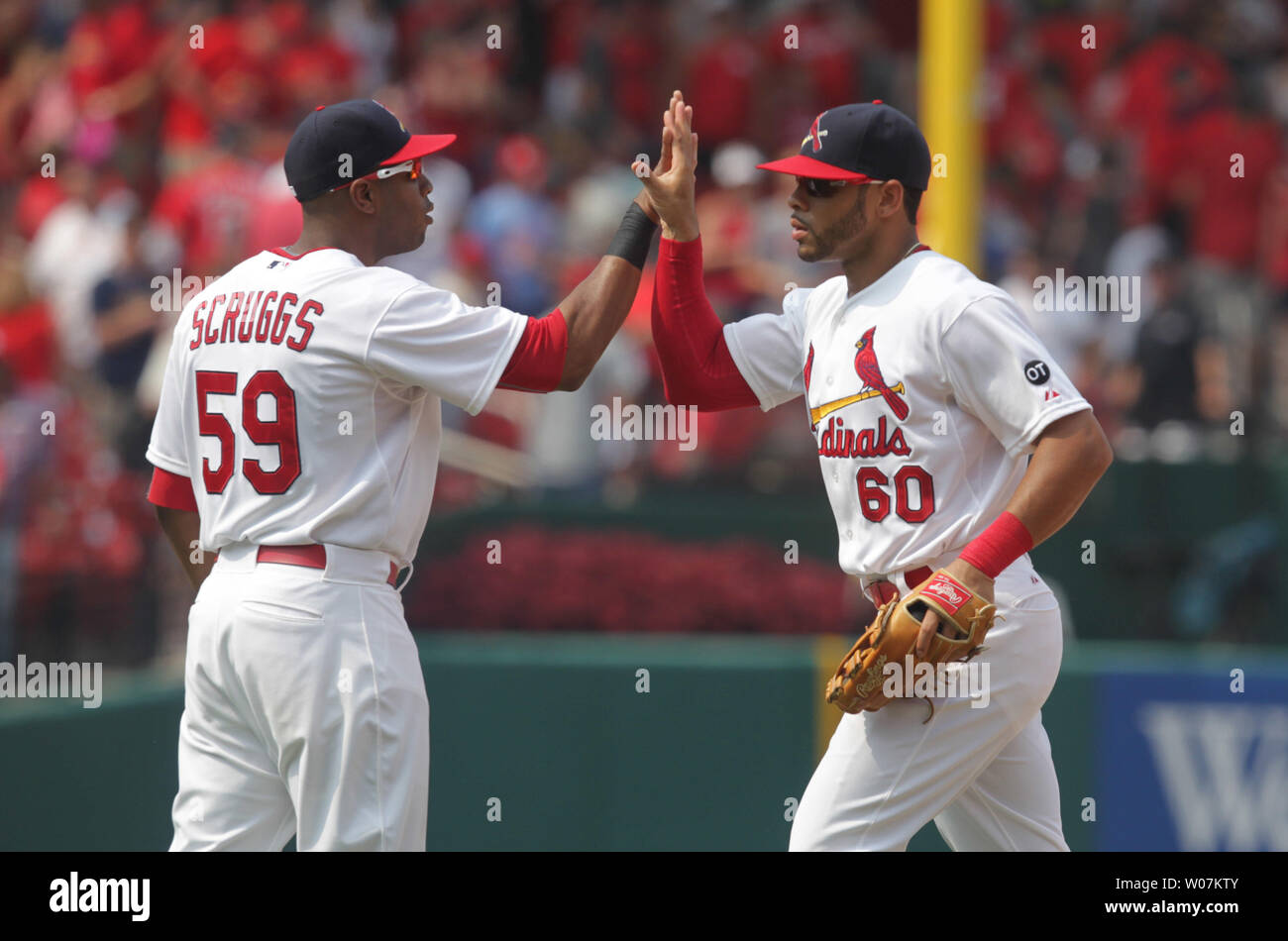 Tommy pham cardinals hi-res stock photography and images - Alamy